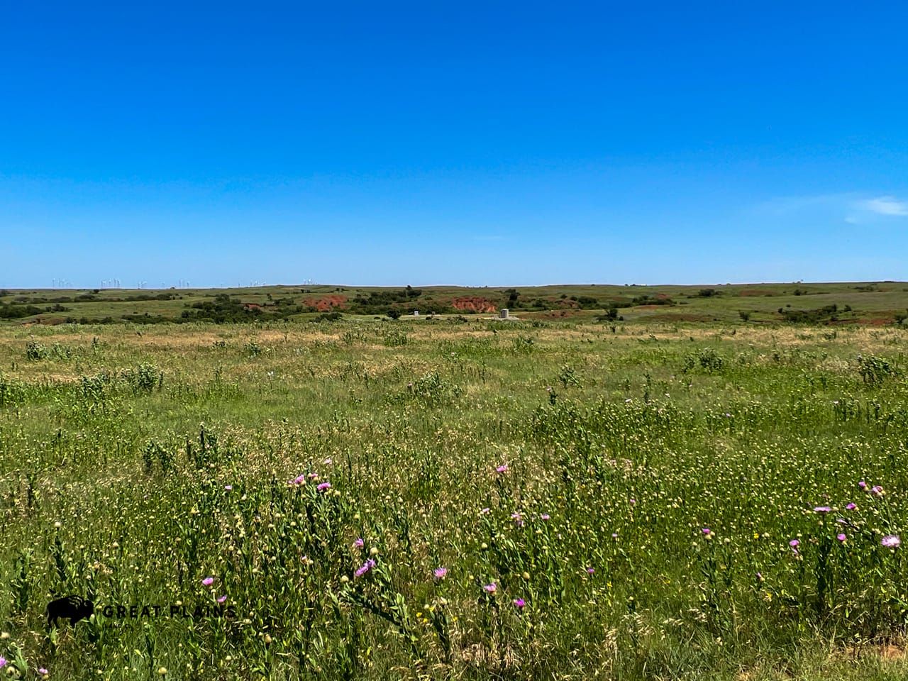TBD E 1030 Rd, Cheyenne, OK 73644 | Land and Farm