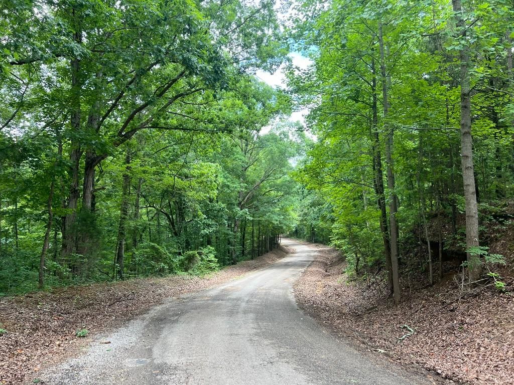 5181 Winding Ridge Rd, Adamsville, TN 38310 | Land and Farm
