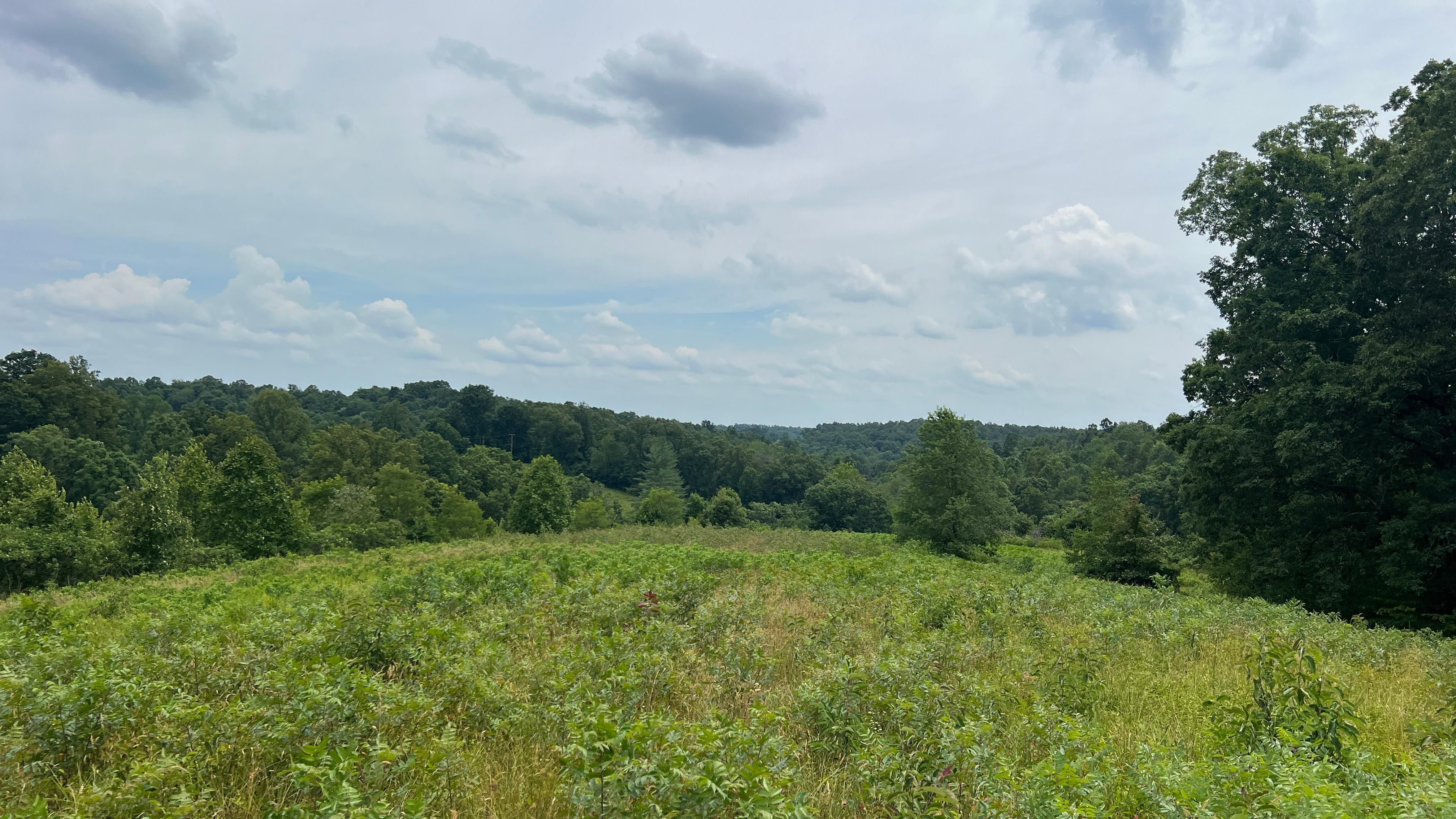 State Route 139, Jackson, OH 45640 | MLS: Jackson County Ohio Land for ...