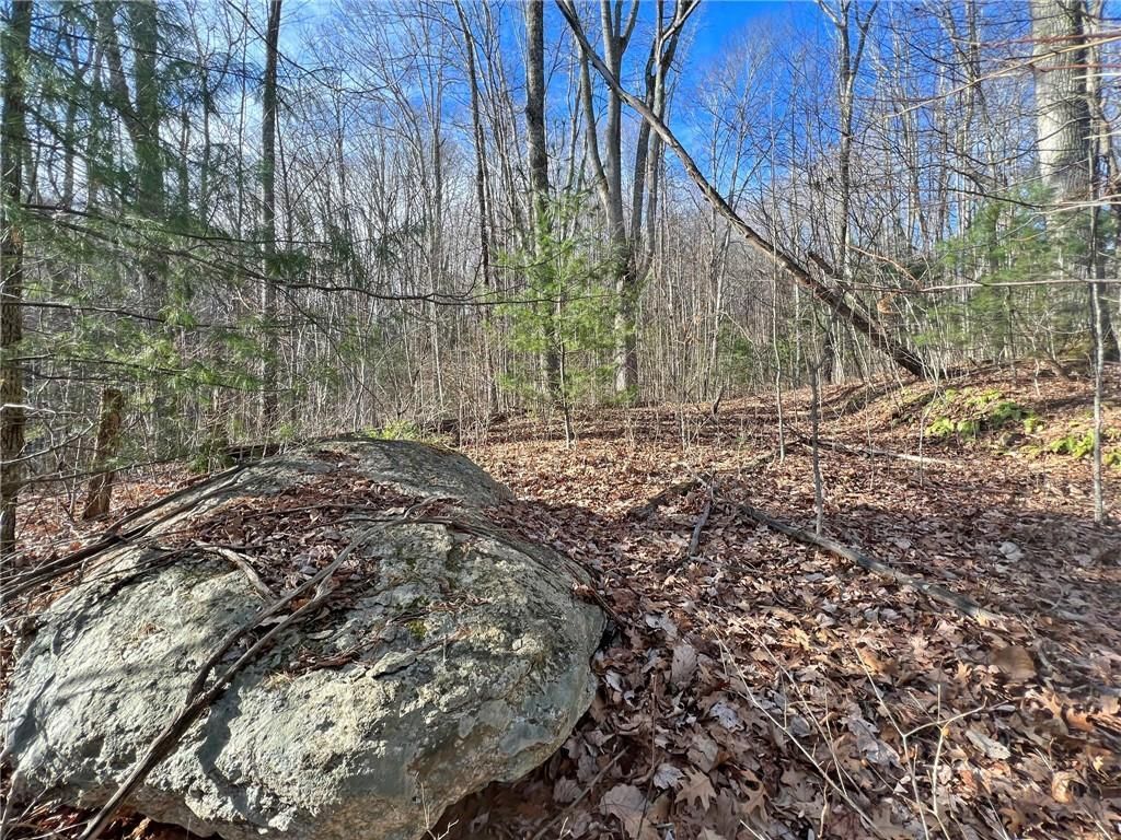 999 Juniper Rd., Clyde, NC 28721 | MLS: 4155728 | Land and Farm