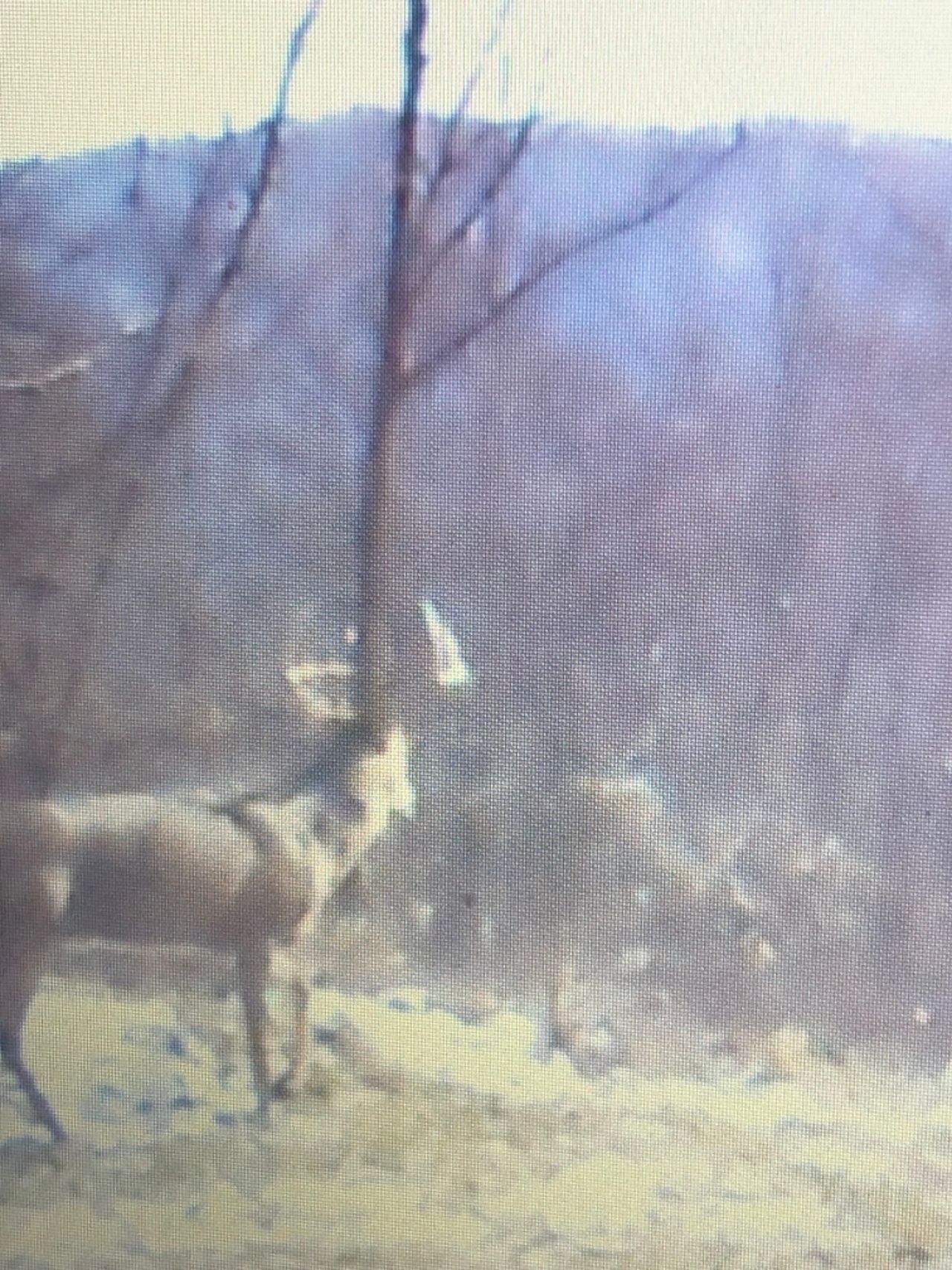 744 Randolph Road, Squire, WV 24884 | Land and Farm