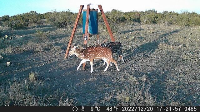 111 acres in Juno, TX, 78837 | Land and Farm