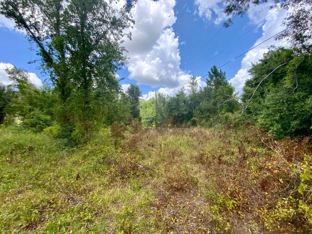 Vacant NE Dandelion, Madison, FL 32340 | Land and Farm
