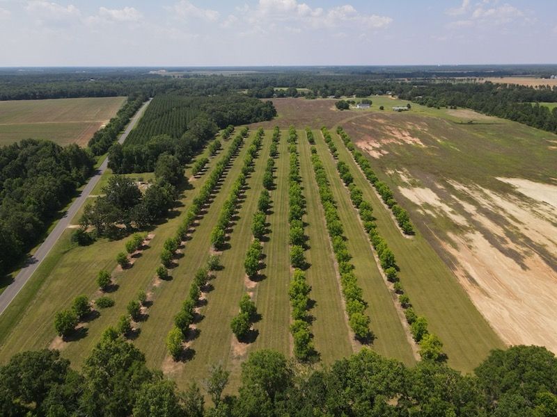 2255 Sasser Herod Road, Dawson, GA 39842 | Land and Farm
