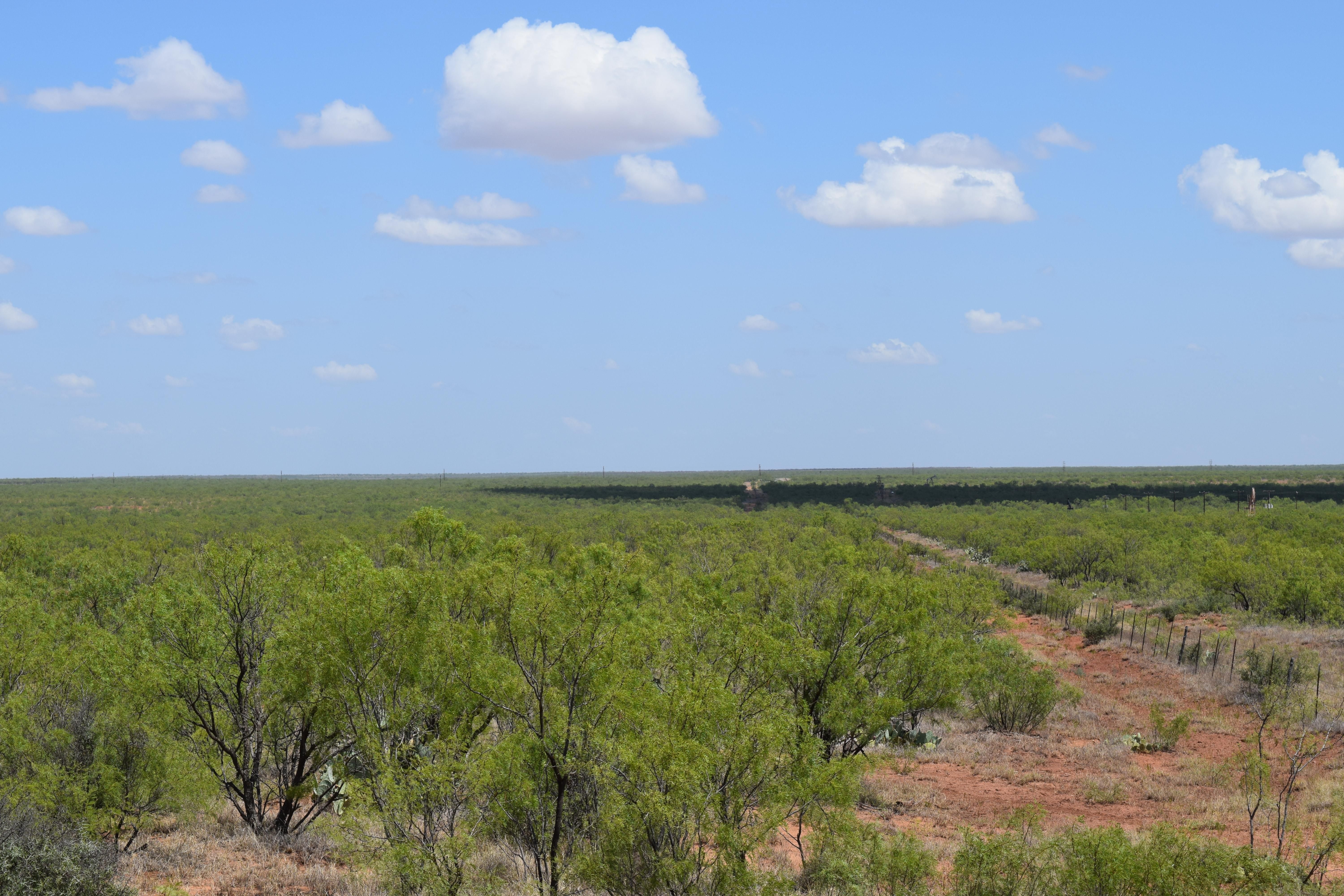 County Road 234, Westbrook, TX 79565 | Land and Farm