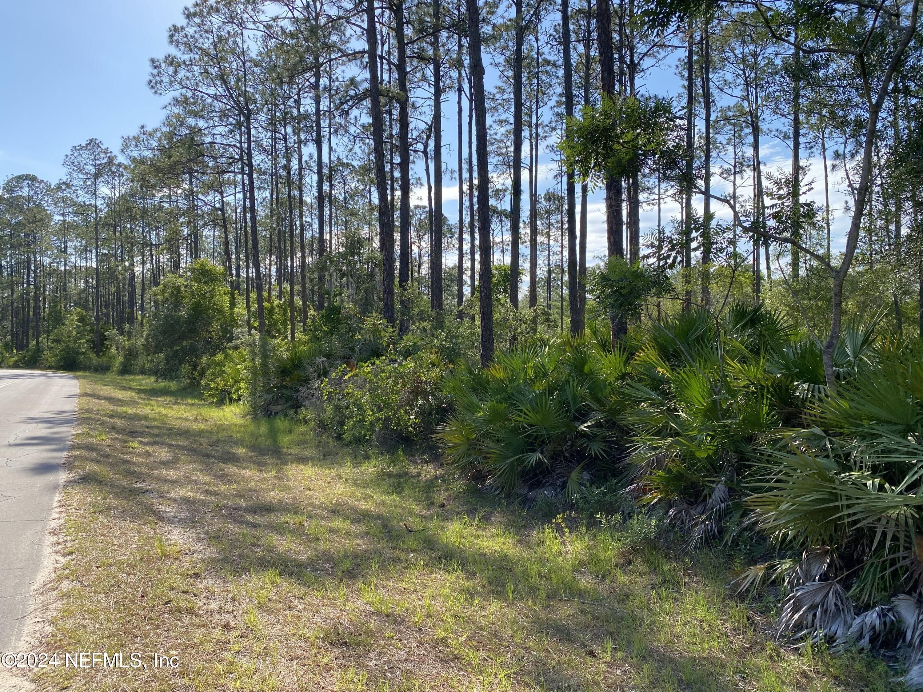 Lot 8 WALLACE Street, Interlachen, FL 32148 | MLS: 2037783 | Land and Farm