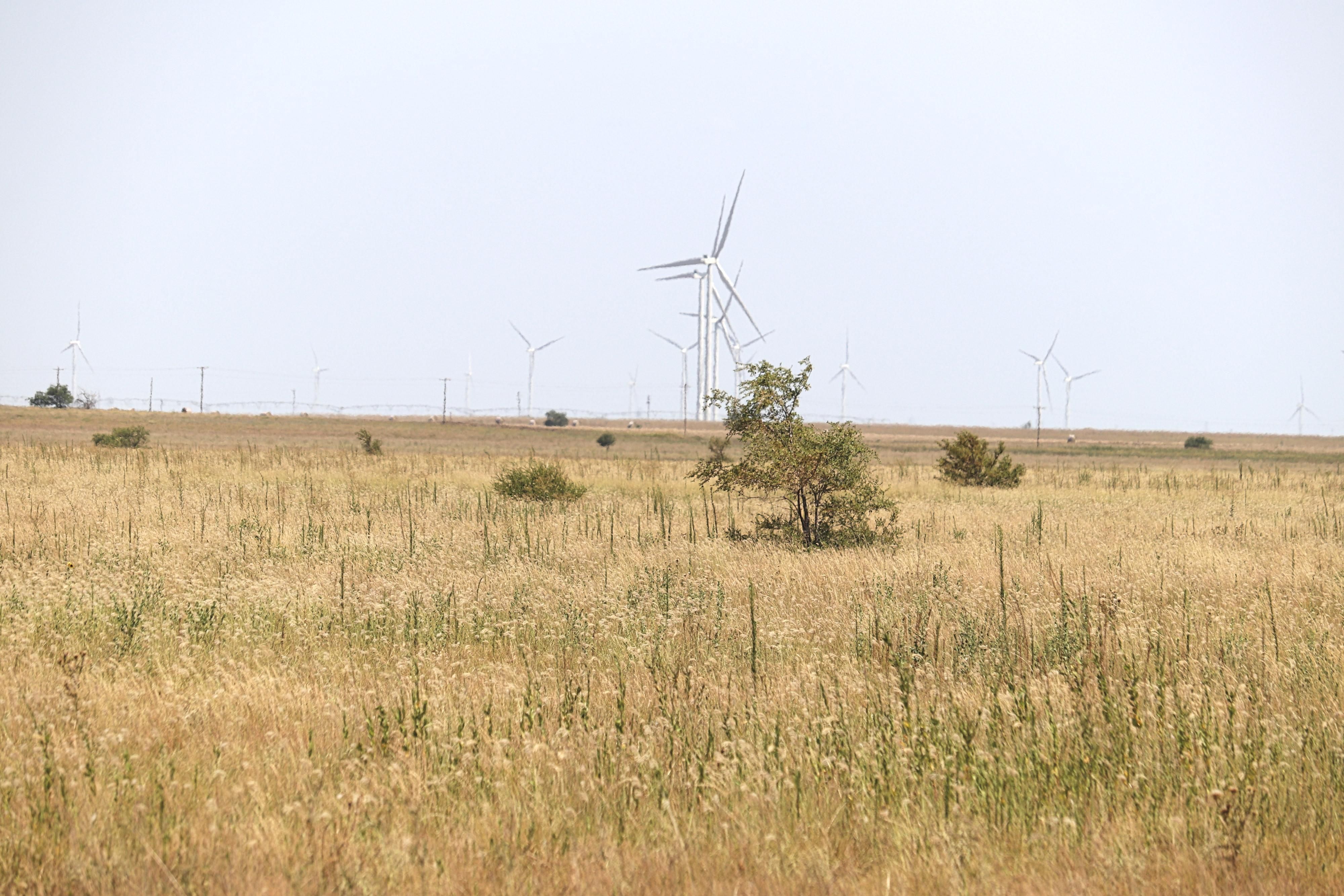 280 acres in Plainview, TX, 79072 | Land and Farm