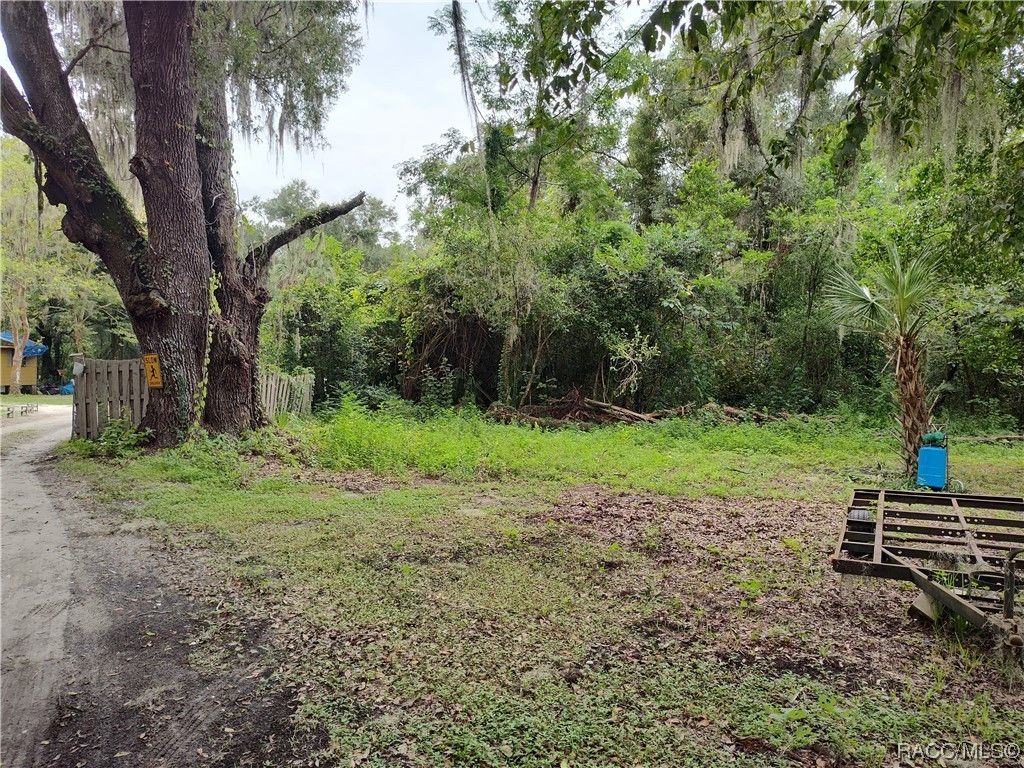 0000 NE 17th Court, Citra, FL 32113 | MLS: 826741 | Land and Farm