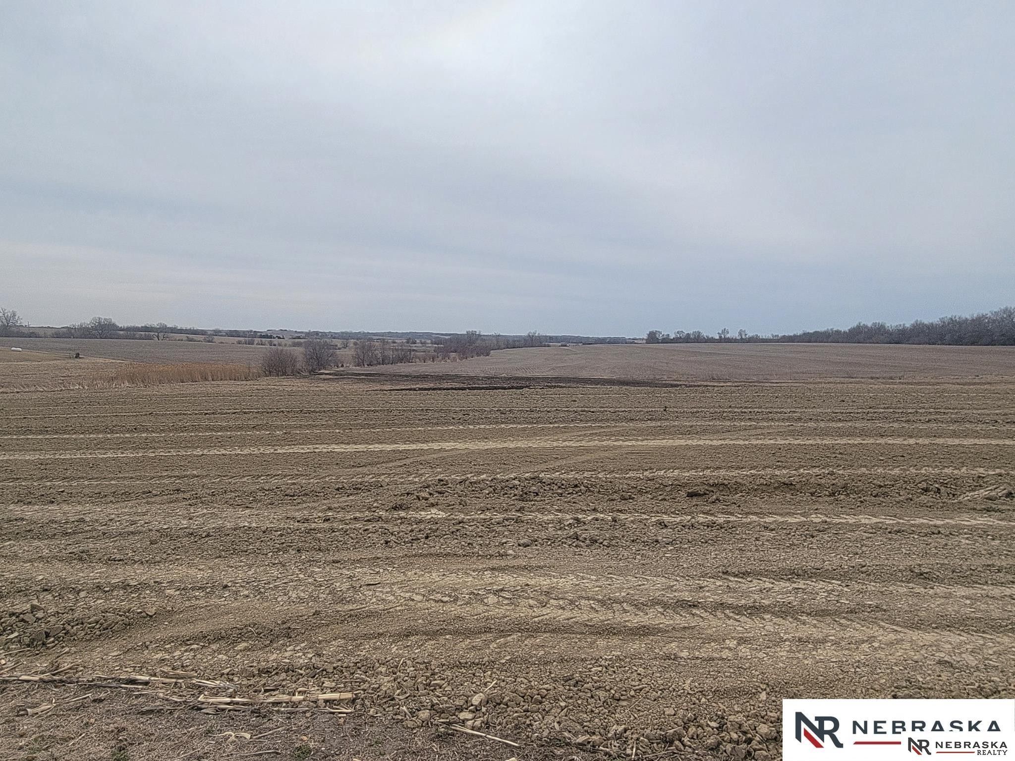 305 Ash Street, Ceresco, NE 68017 | MLS: 22405881 | Land and Farm