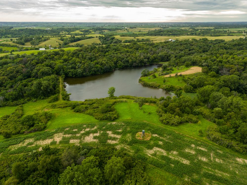 3003 220th Street, Chelsea, IA 52215 | MLS: Tama 218 | Land and Farm