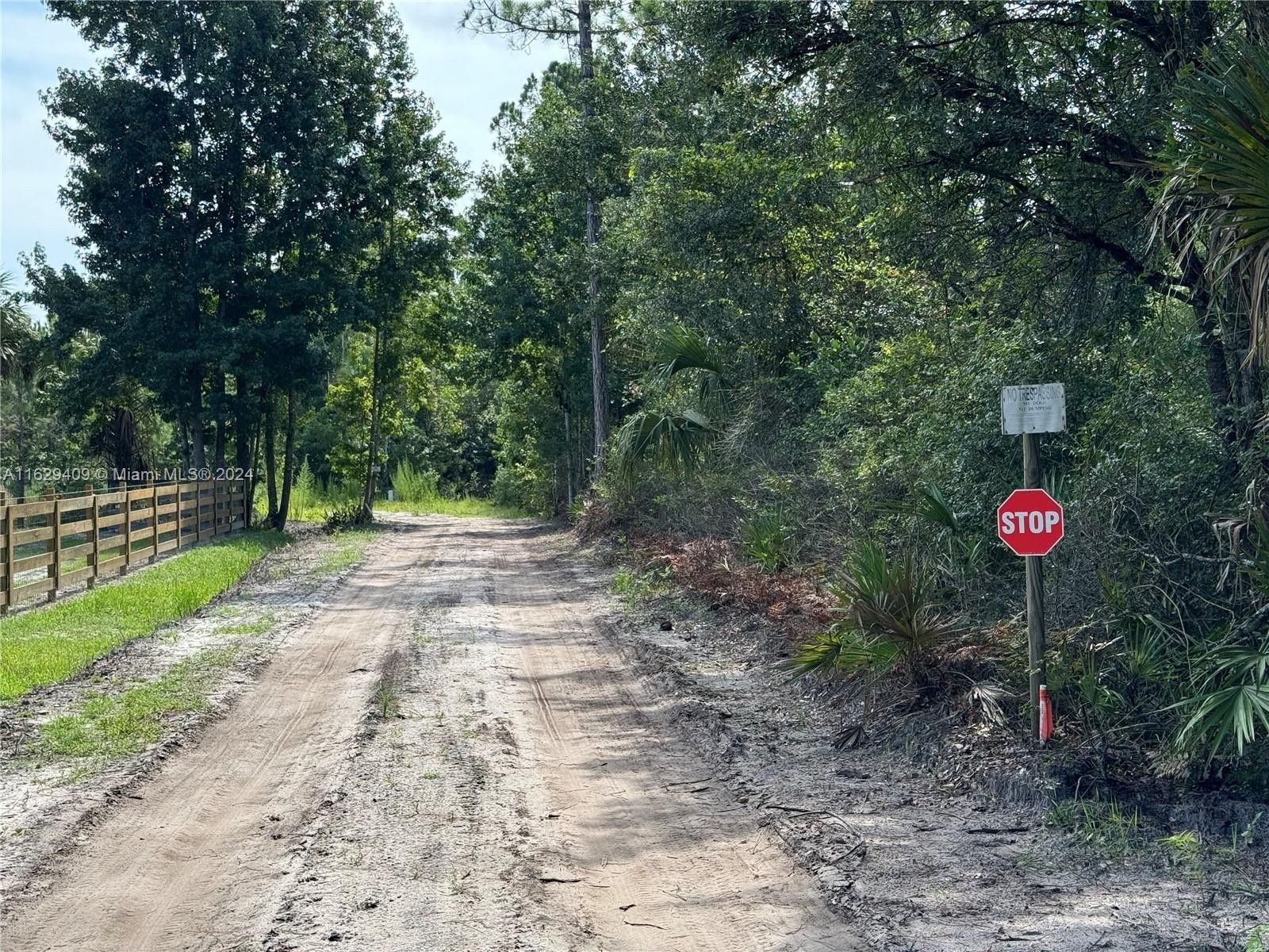 0 County Road 335, Bunnell, FL 32110 | MLS: A11629409 | Land and Farm