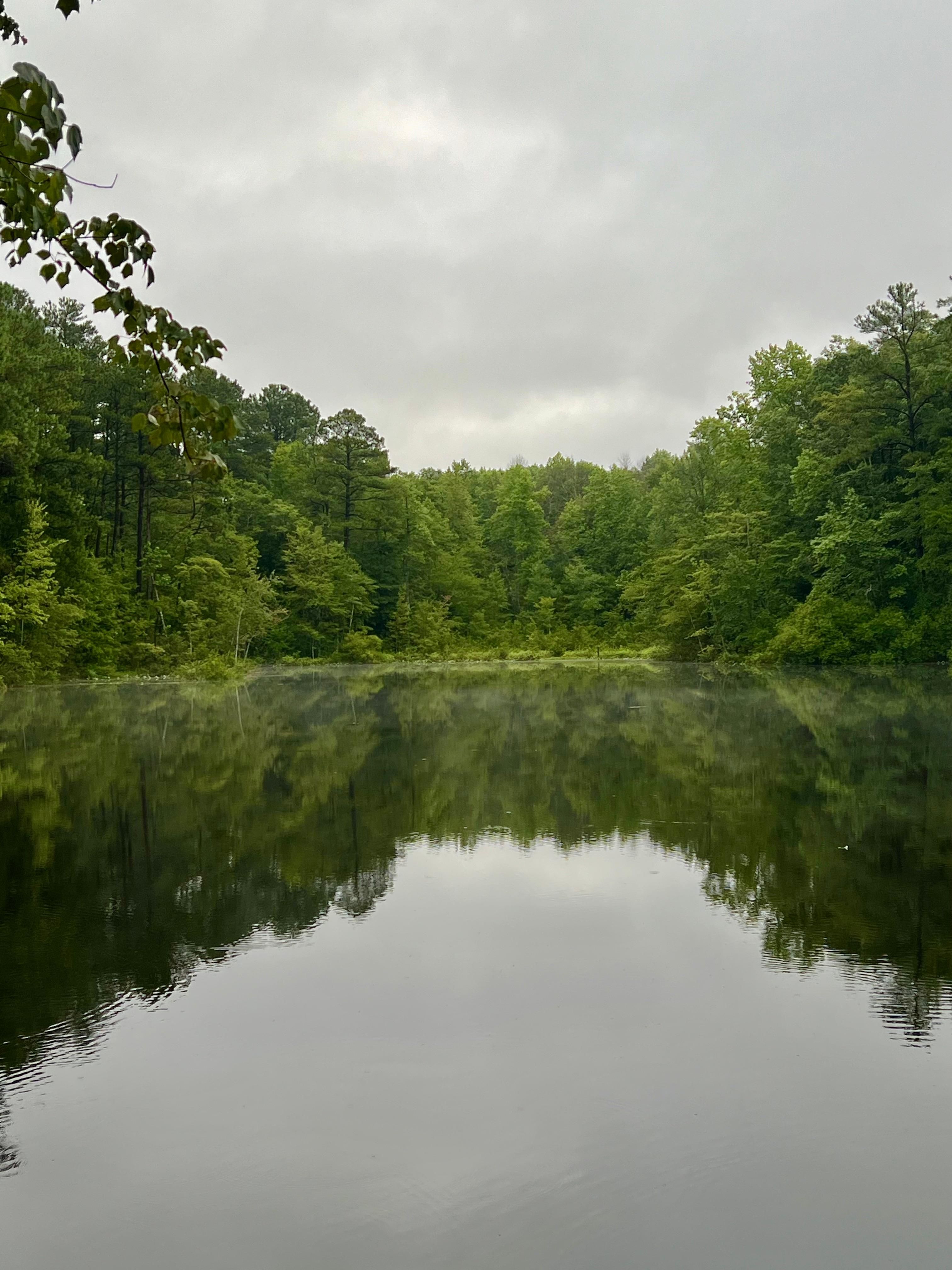 2673 Bull Swamp Road, North, SC 29112 | Land and Farm