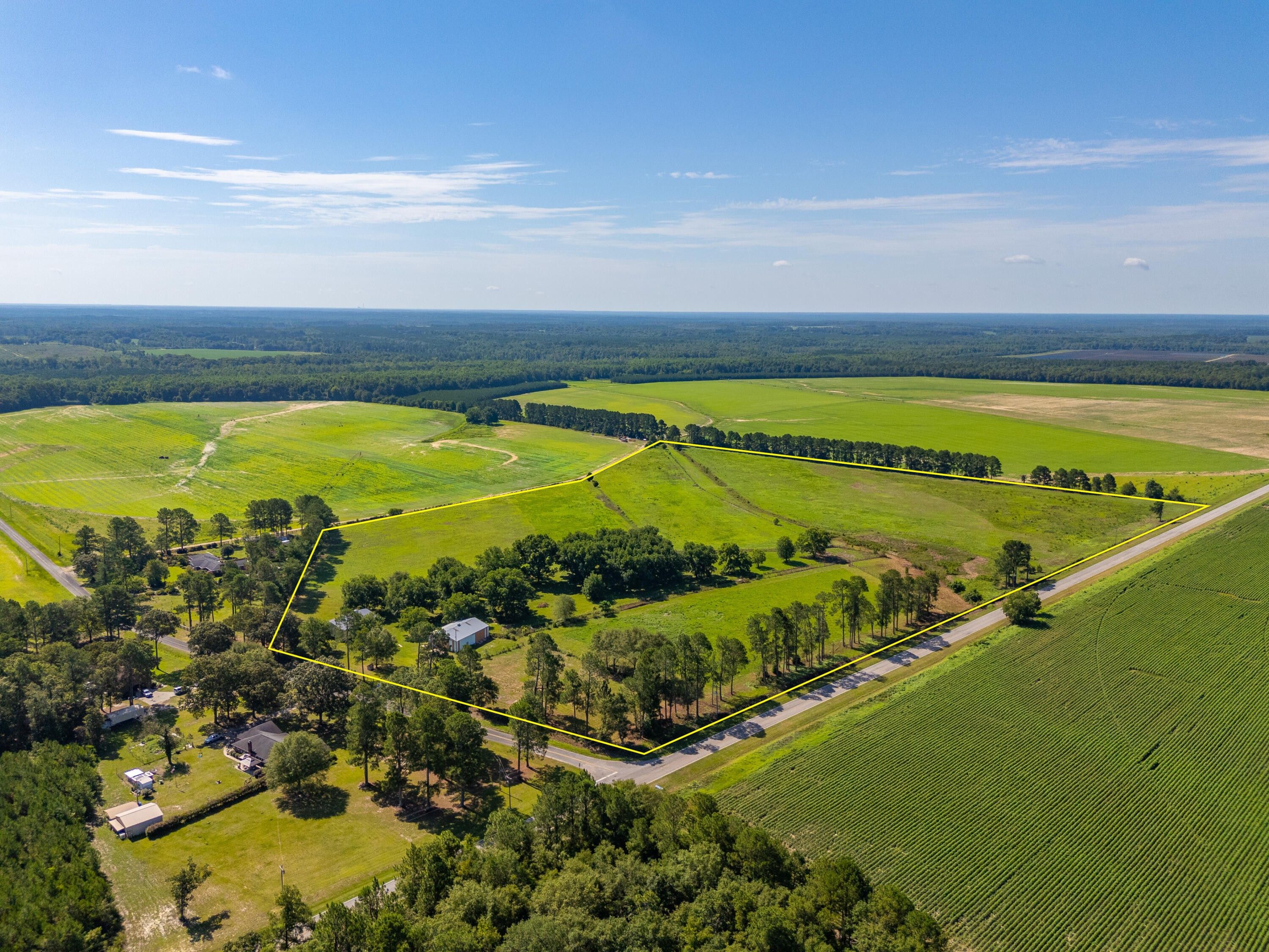 449 Hi Cotton Lane, Springfield, SC 29146 | MLS: 24019147 | Land and Farm