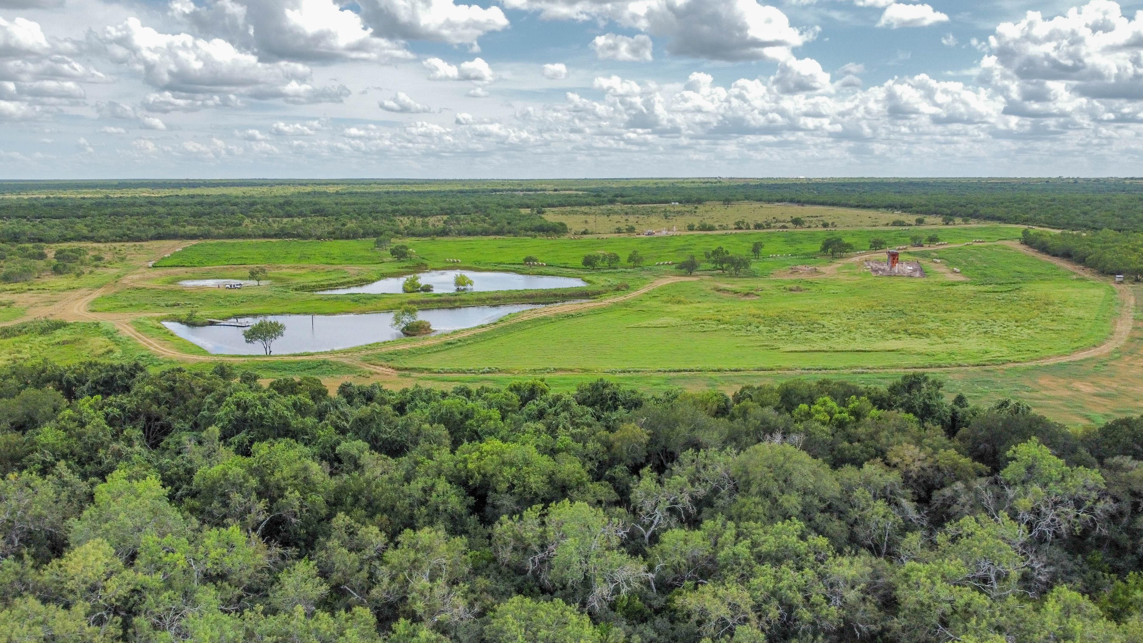 Bluntzer Rd, Jourdanton, TX 78026 | MLS: 1796737 | Land and Farm
