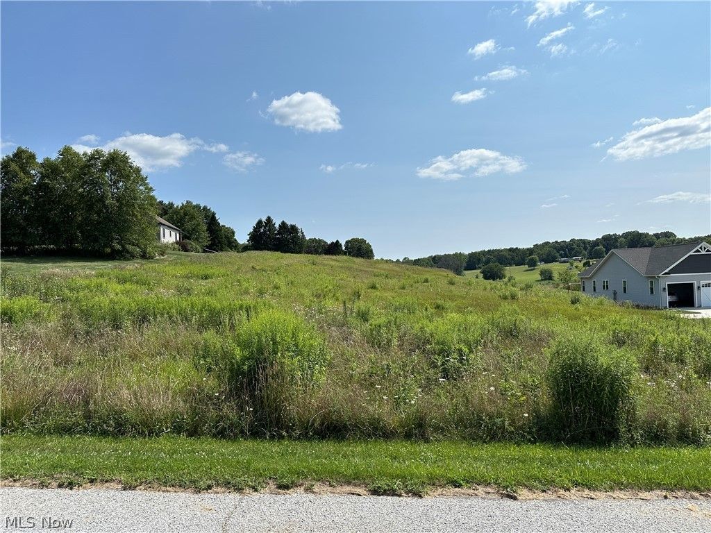 Township Road 276, Millersburg, OH 44654 | MLS: 5055643 | Land and Farm