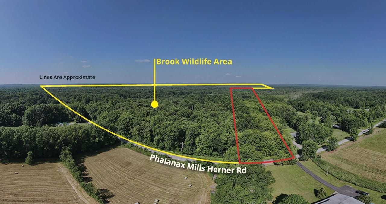 0 Phalanx Mills Herner Rd, Southington, OH 44470 | Land and Farm