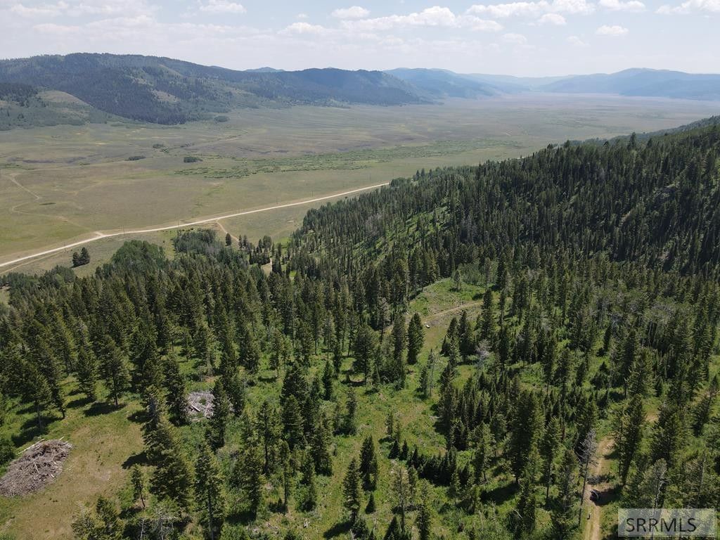 3151 Lanes Creek Rd, Wayan, ID 83285 | MLS: 2168127 | Land and Farm