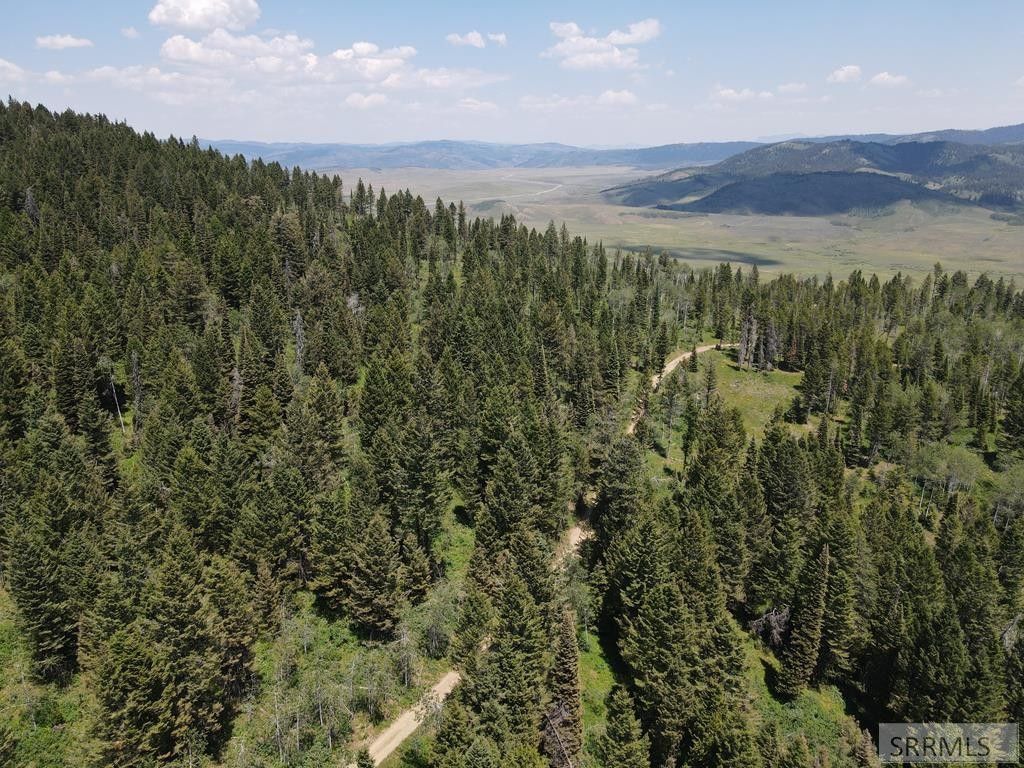 3151 Lanes Creek Rd, Wayan, ID 83285 | MLS: 2168132 | Land and Farm