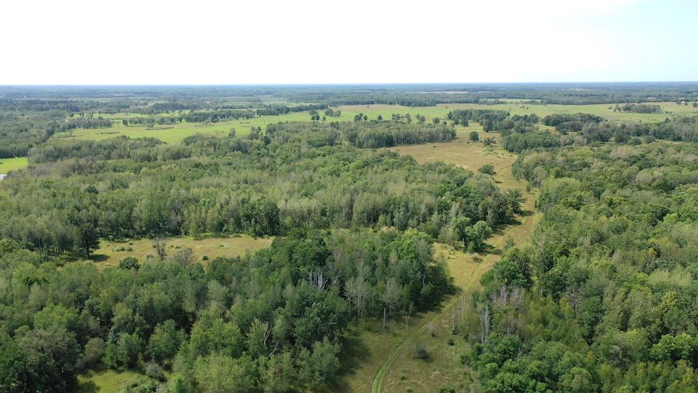 8419 44th Street SW, Lot#WP001, Sebeka, MN 56477 | MLS: 6501353 | Land ...