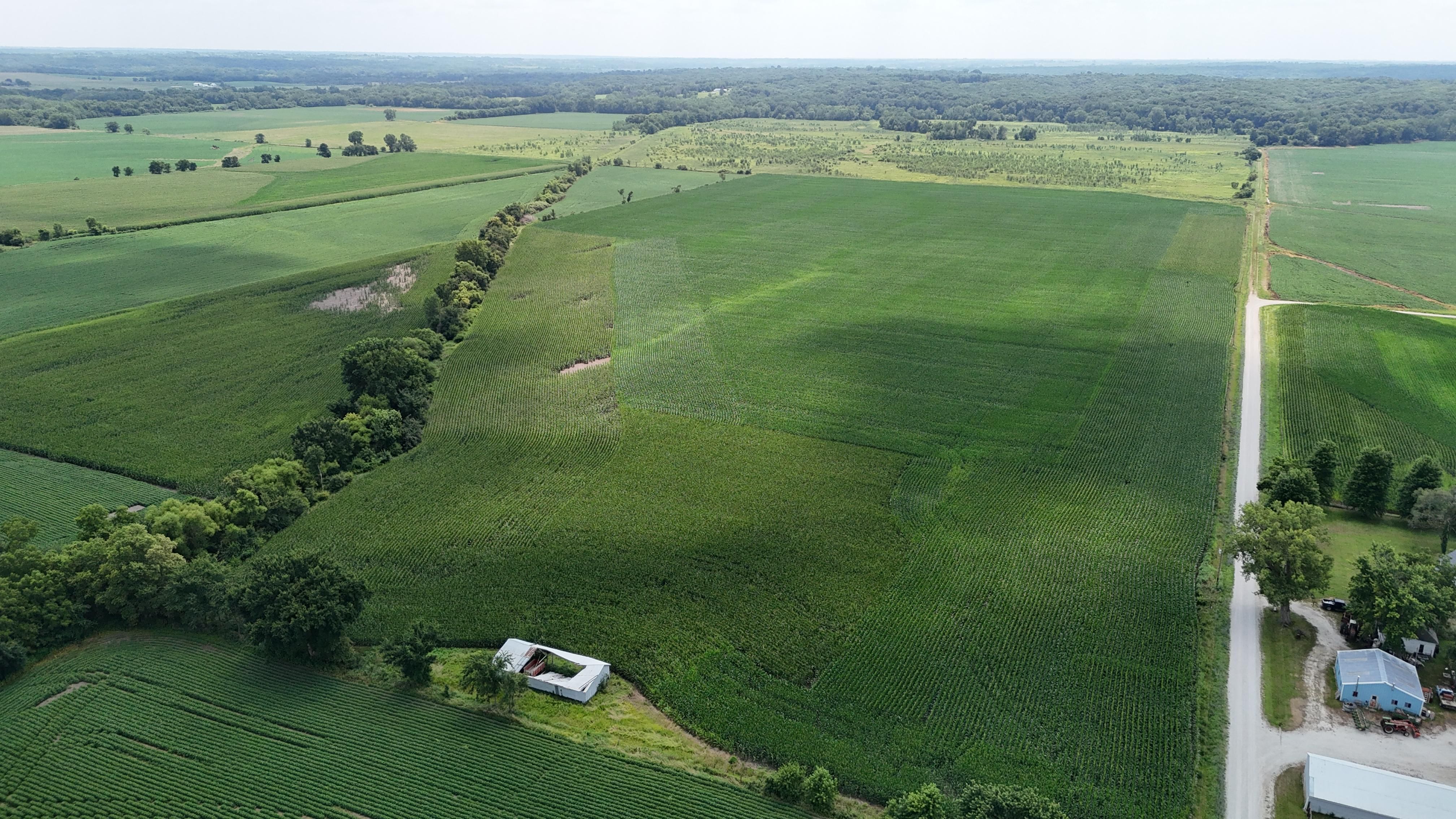 Clarke-Decatur Street, Grand River, IA 50108 | Land and Farm