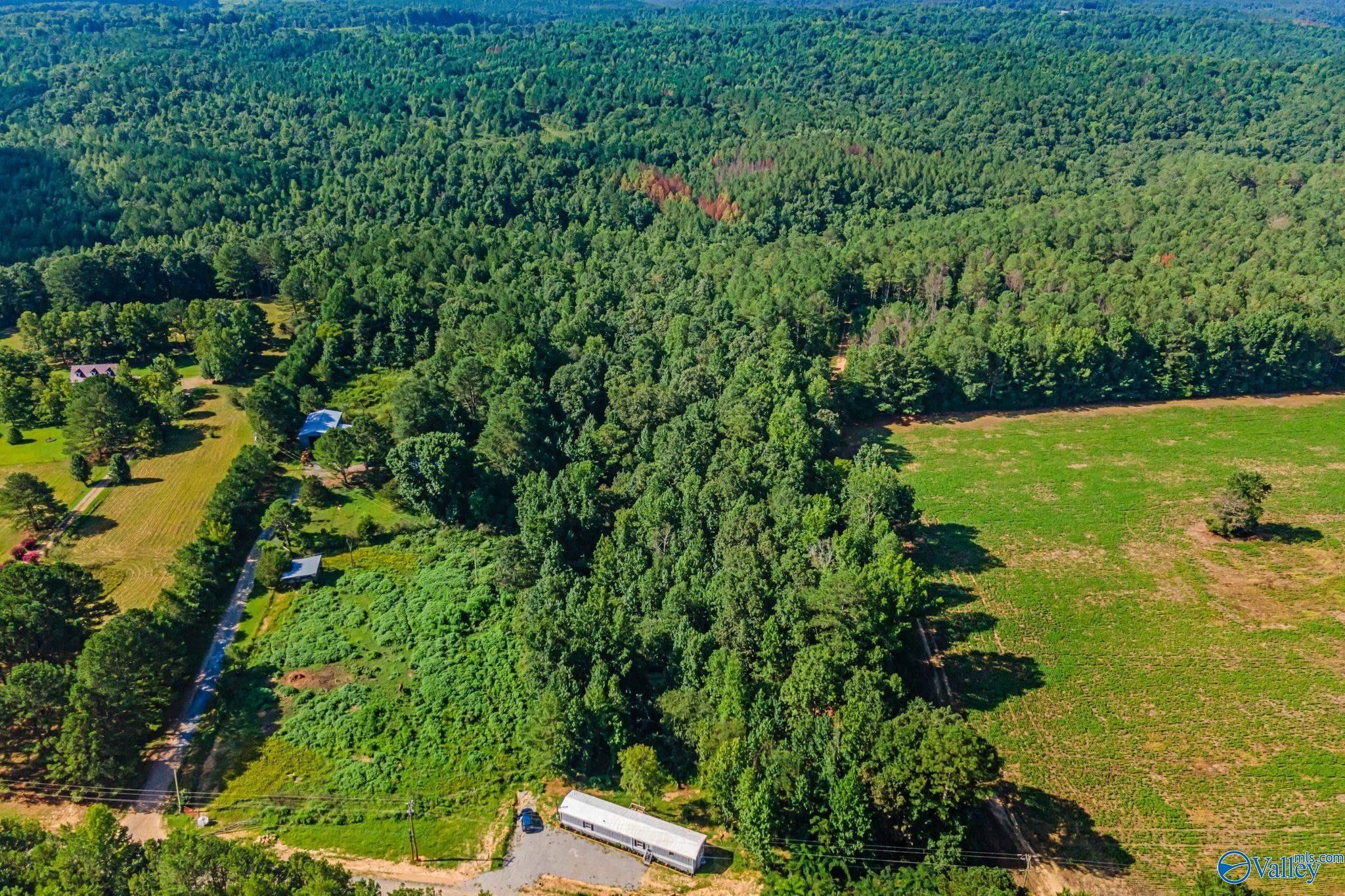 2691 County Road 99, Addison, AL 35540 | MLS: 21868107 | Land and Farm