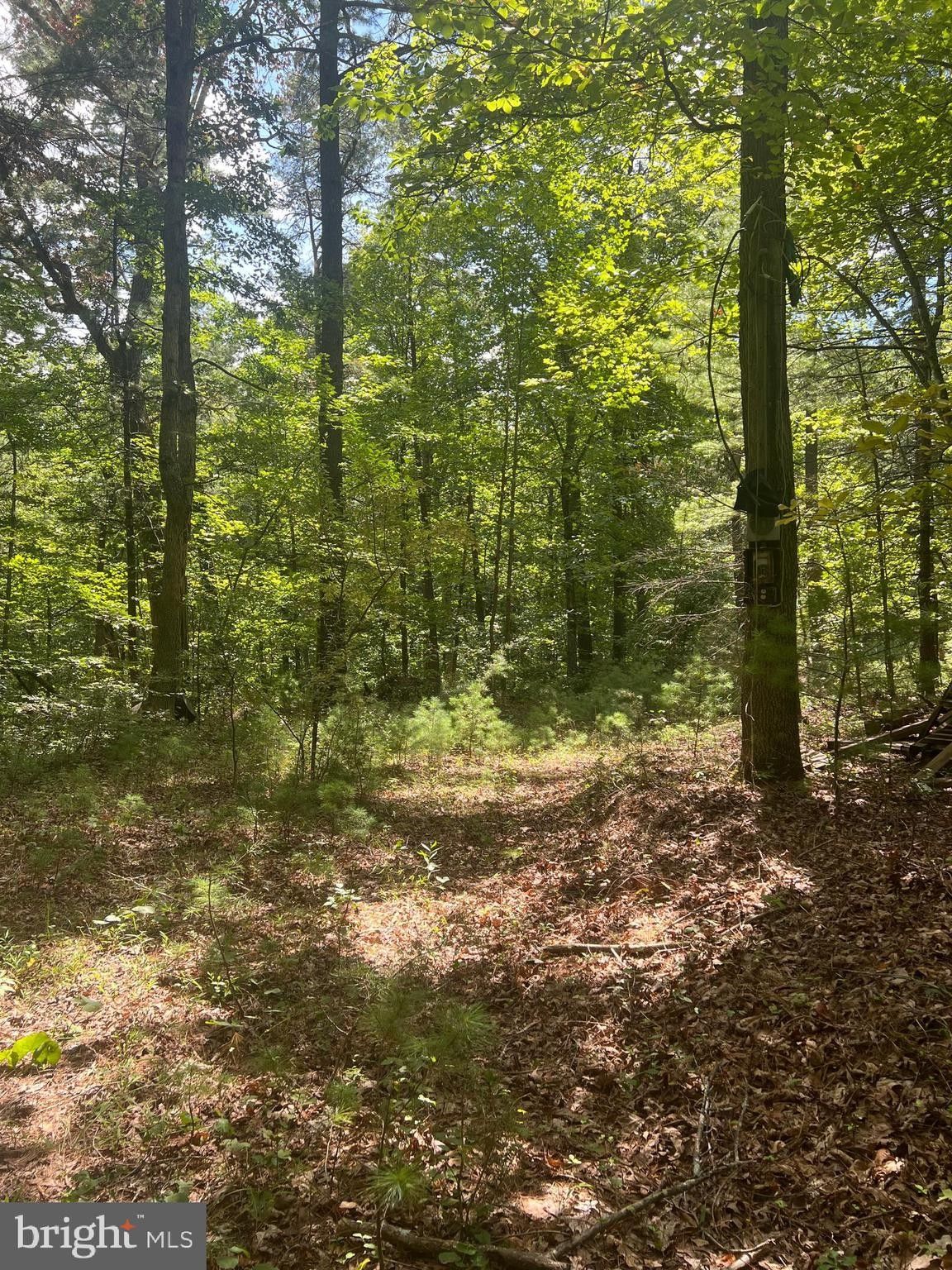 SARAH LANE, Basye, VA 22810 | MLS: VASH2009350 | Land and Farm