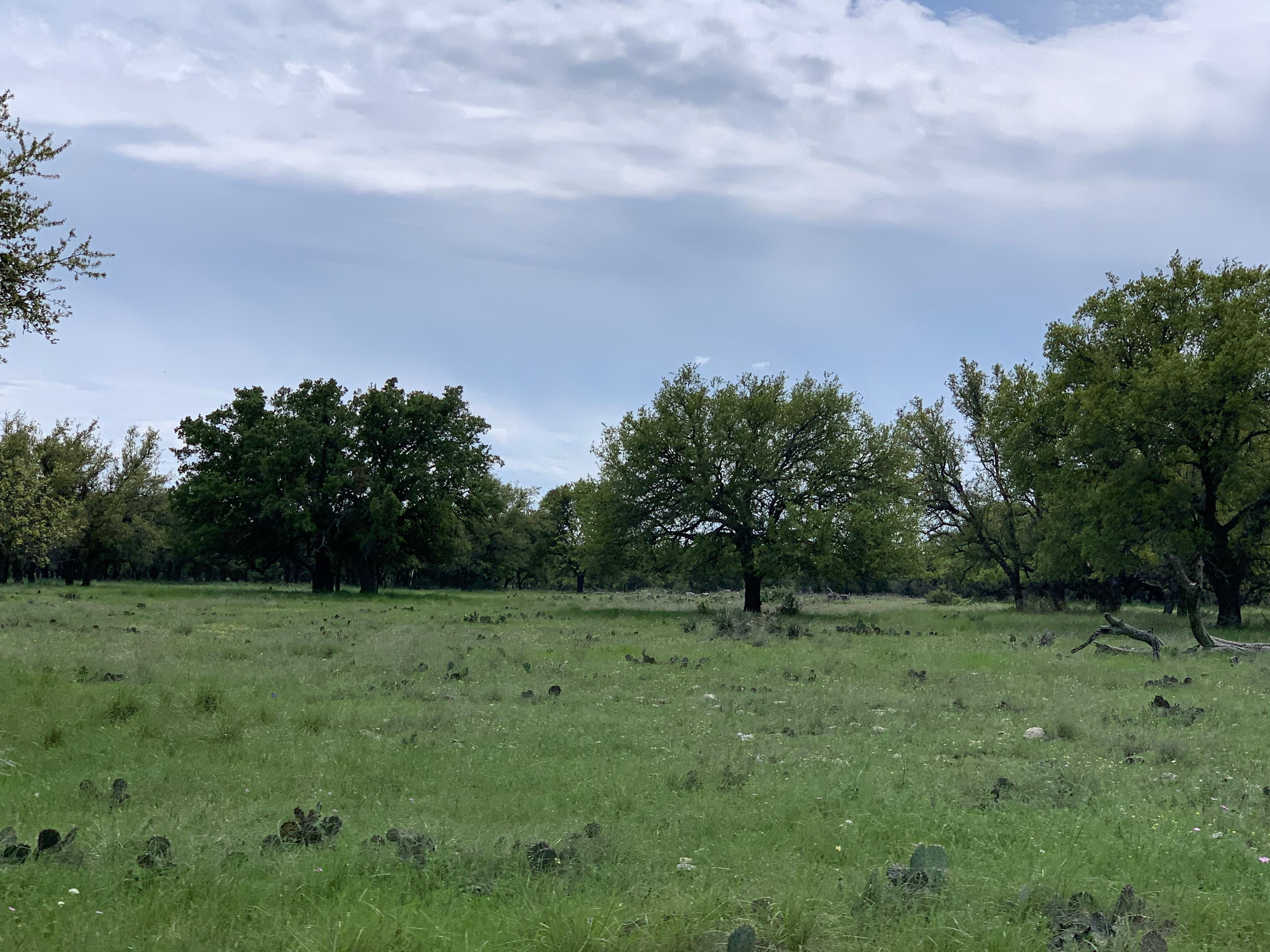 58.54 acres in Menard, TX, 76859 | Land and Farm
