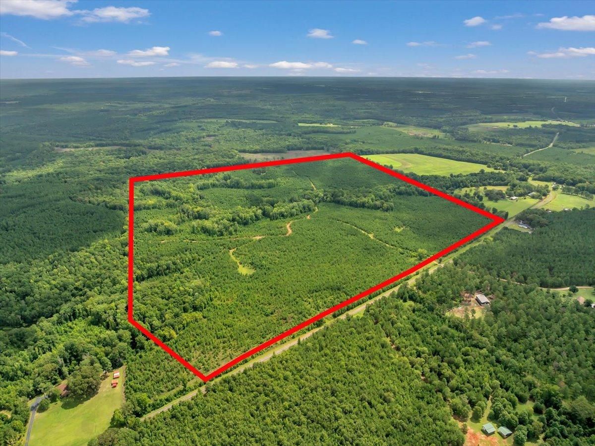 240 acres in Danville, GA, 31017 | Land and Farm