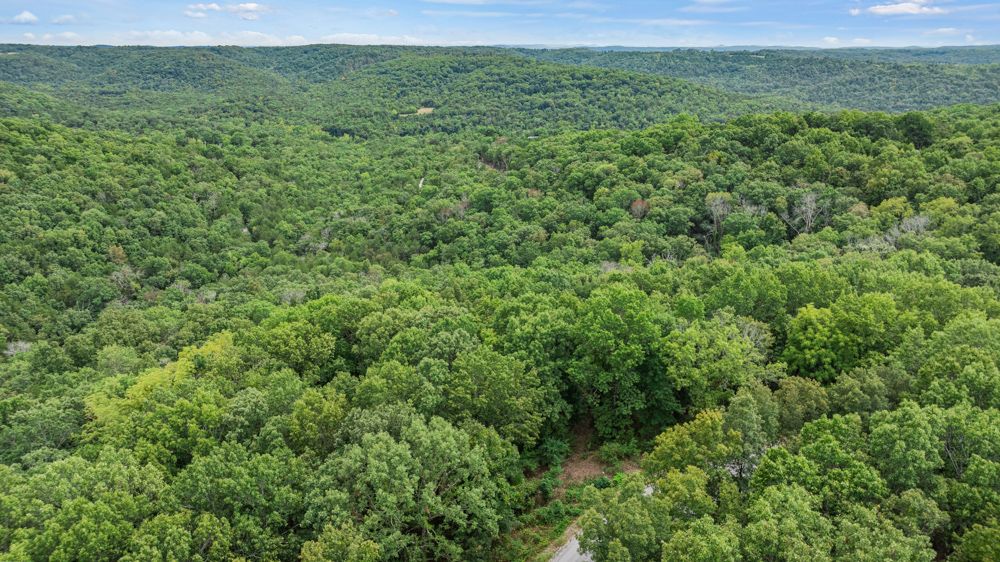 Lot 38 Mule Barn Drive, Cape Fair, MO 65624 | MLS: Stone 0.7 | Land and ...