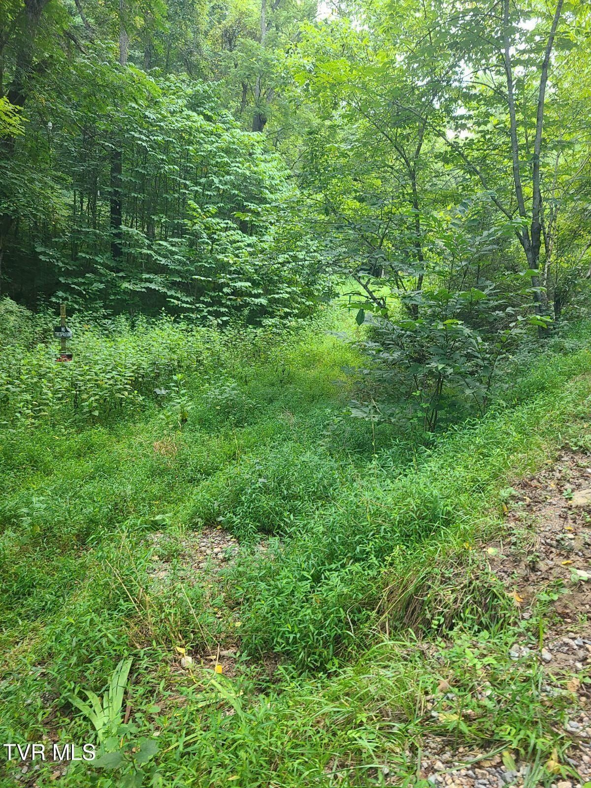 5 Fingers/Forks Ln, Fort Blackmore, VA 24250 | MLS: 9970084 | Land and Farm