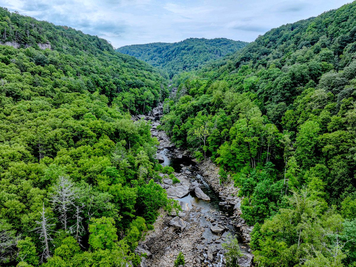 826 Ridge Run Rd, Mount Lookout, WV 26678 | Land and Farm