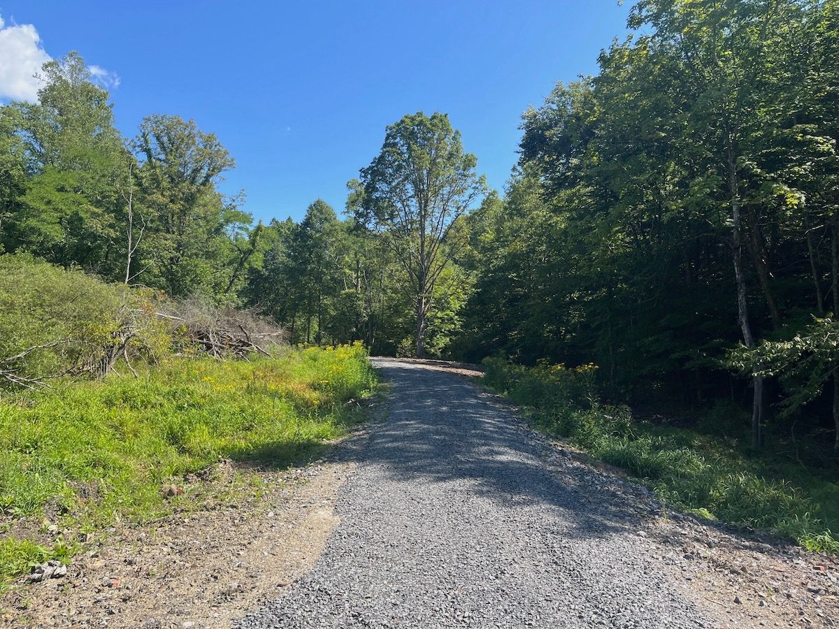 41 Adolph Road, Mill Creek, WV 26280 | Land and Farm