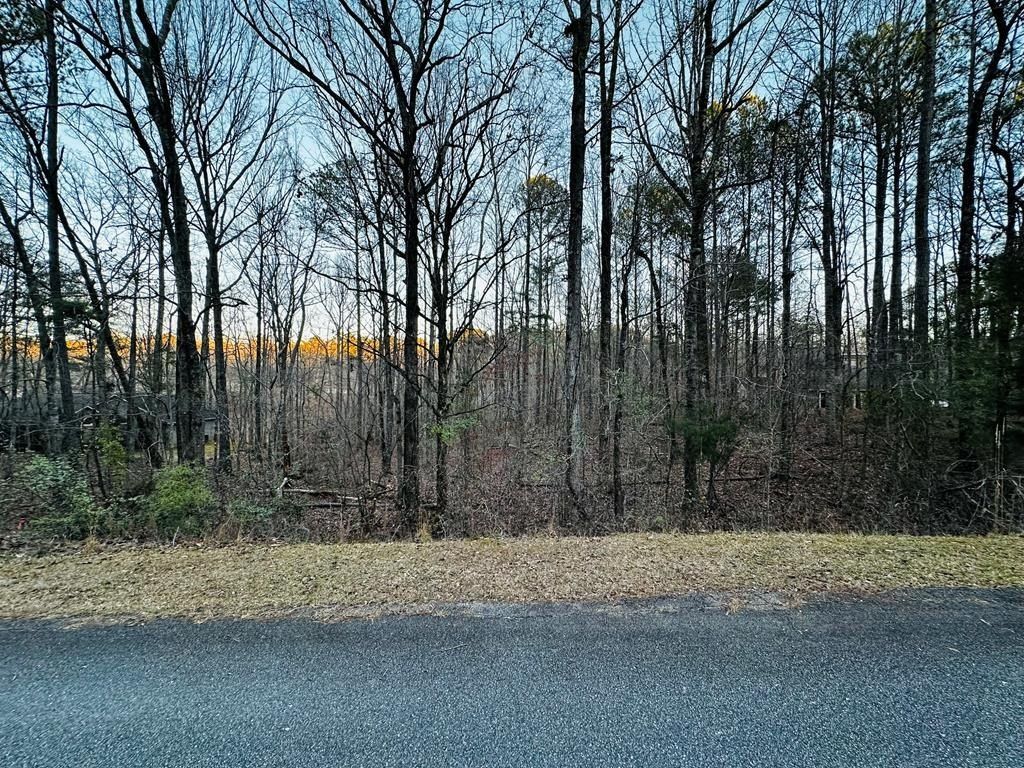 Lot 18 TURKEY TRAIL, Fortson, GA 31808 | MLS: 214578 | Land and Farm