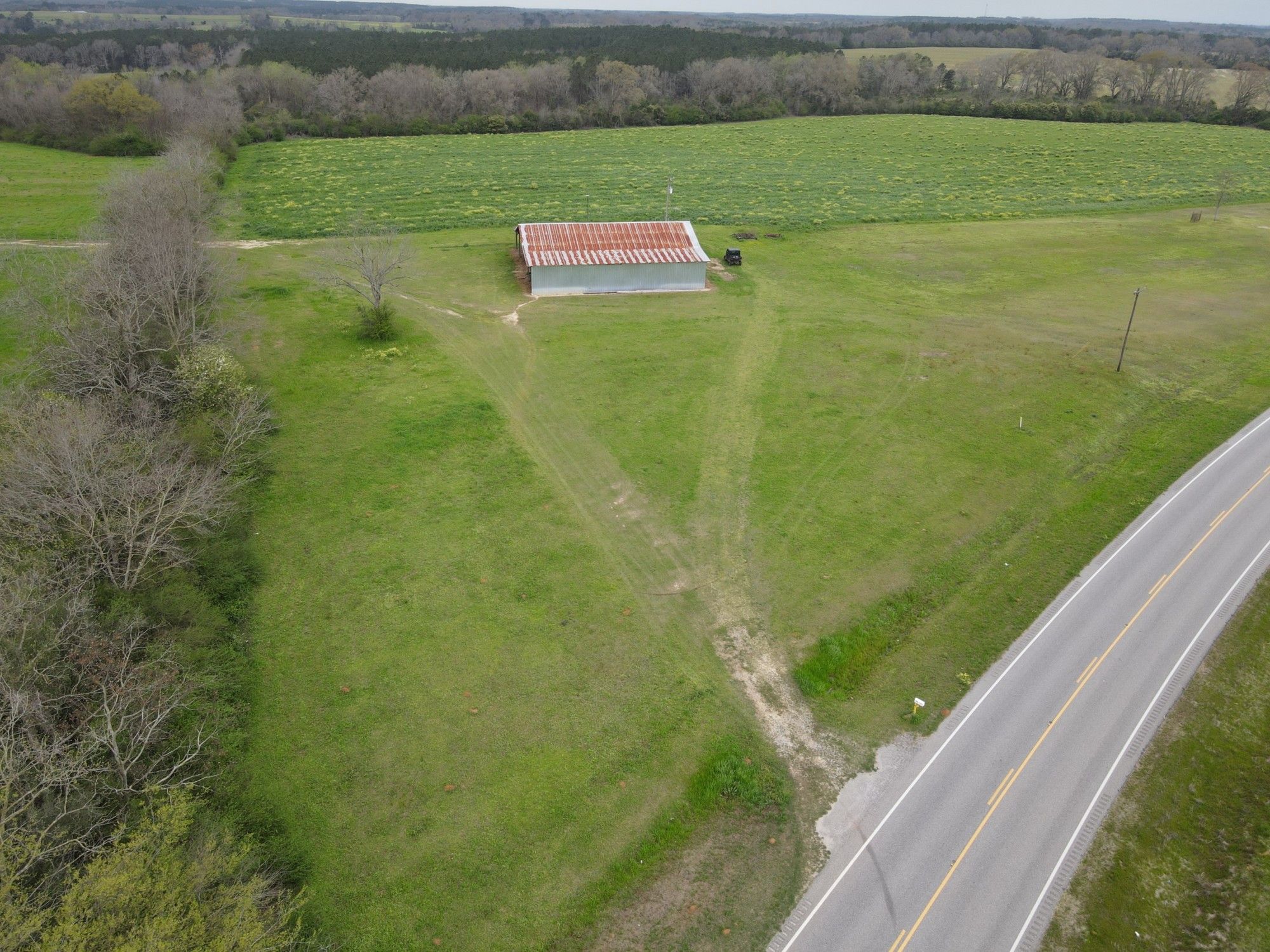 Hwy 141, Elba, AL 36323 | Land and Farm
