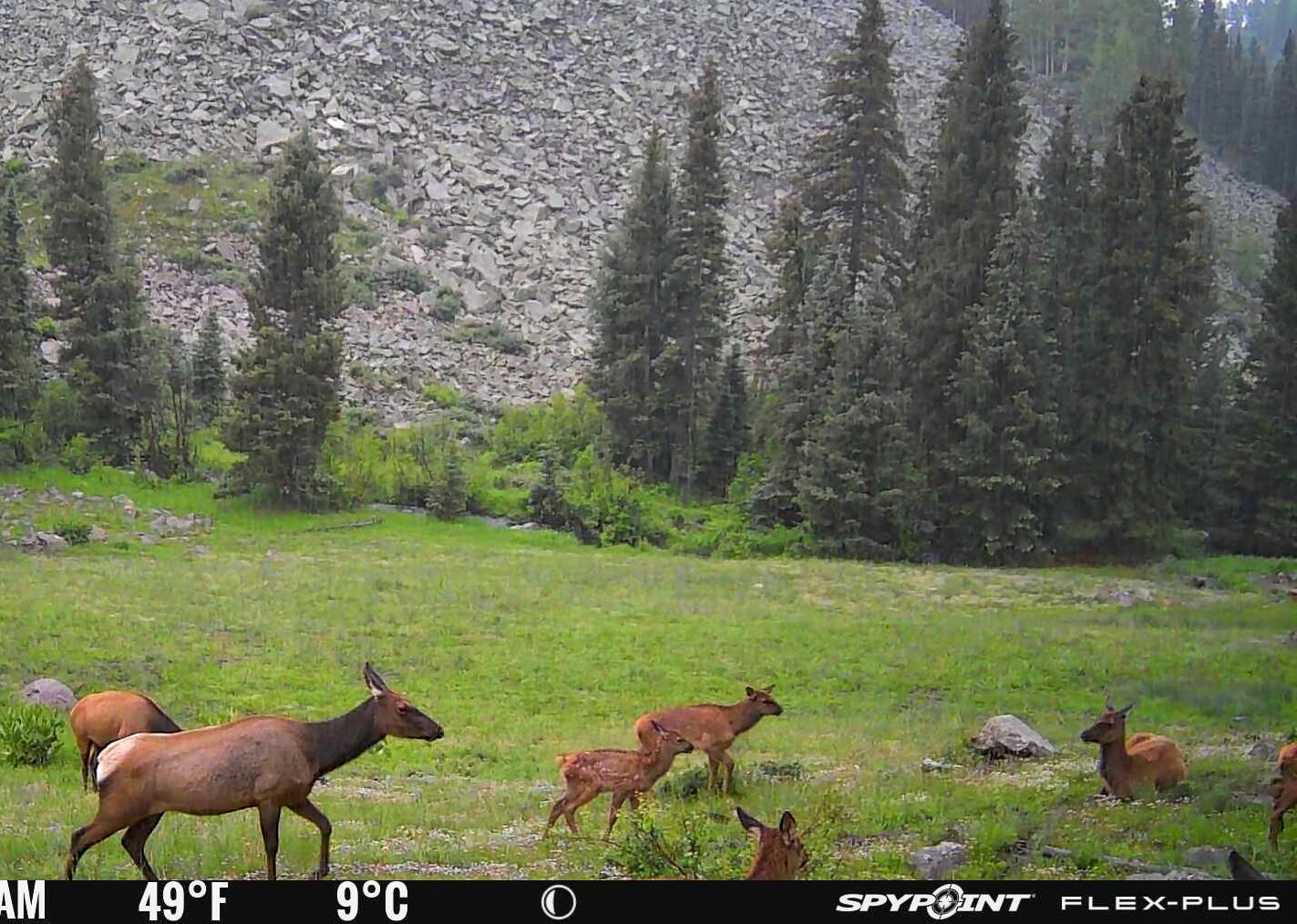 deep down Buckman Road, Chama, NM 87520 | Land and Farm