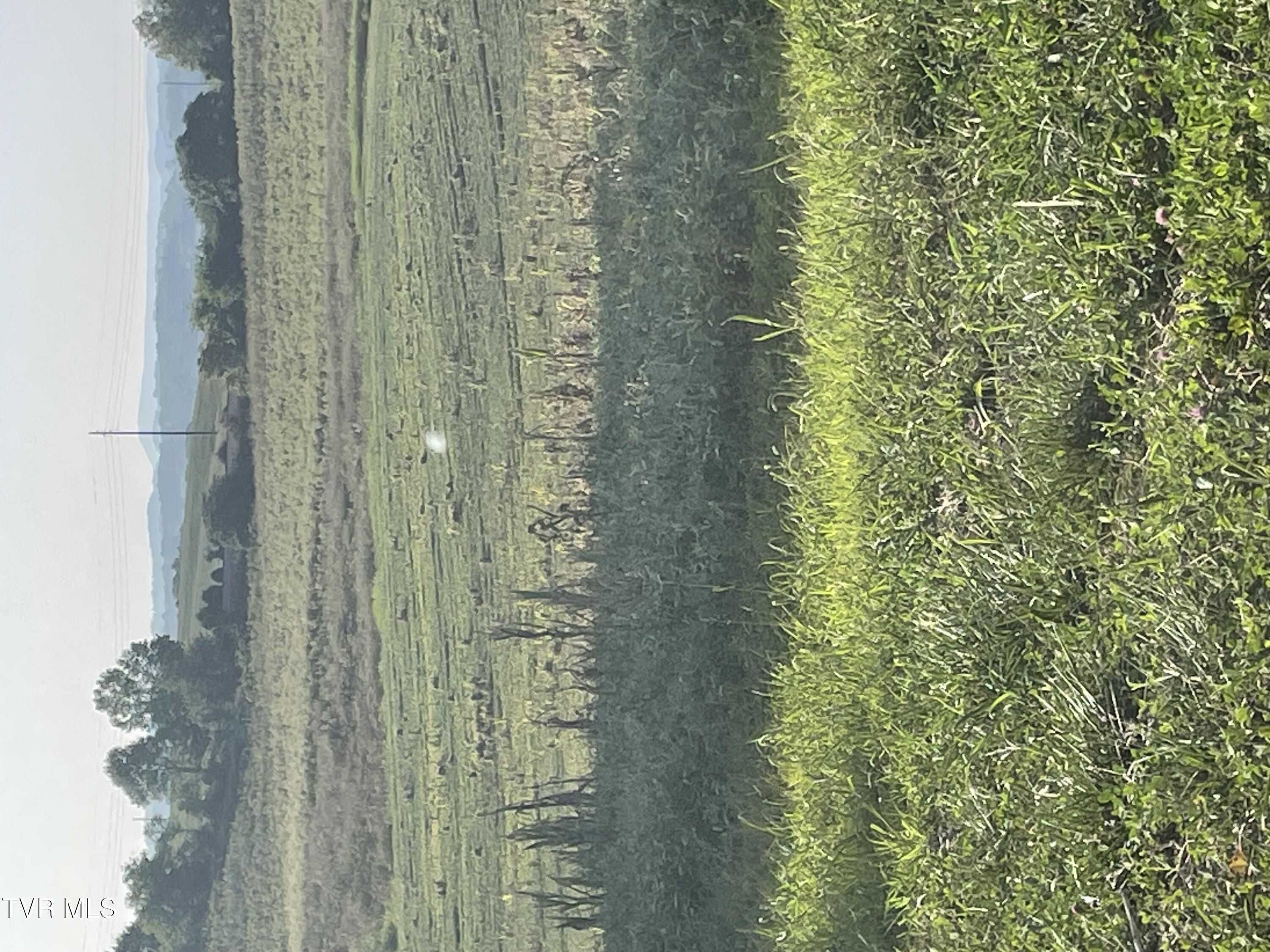 250 Rauhof Road, Telford, TN 37690 | MLS: 9970429 | Land and Farm