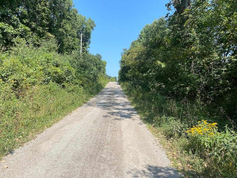 1800 E, Cowden, IL 62422 | Land and Farm