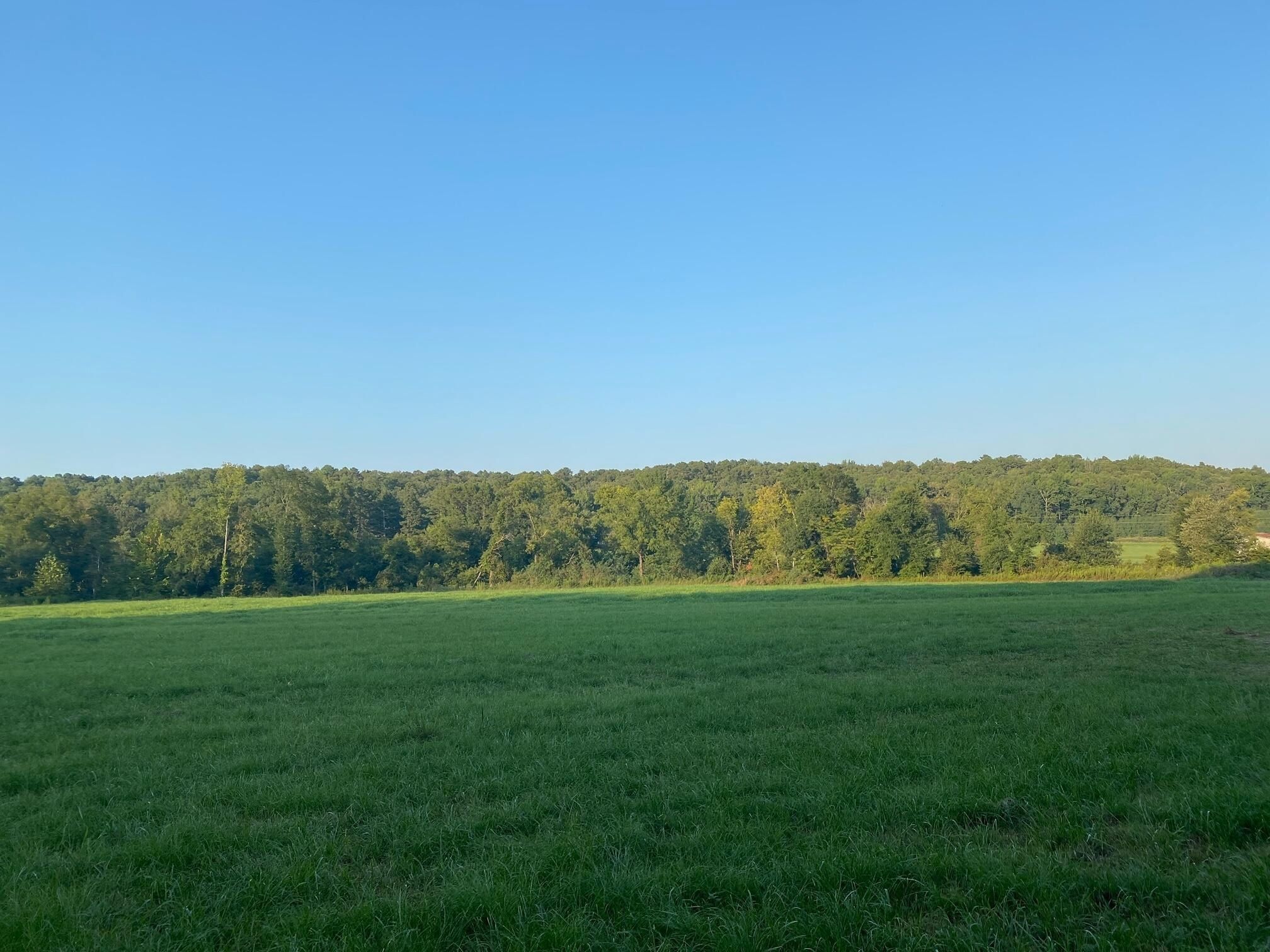 29.73 acres CR 3371, Clarksville, AR 72830 | MLS: 24-1683 | Land and Farm