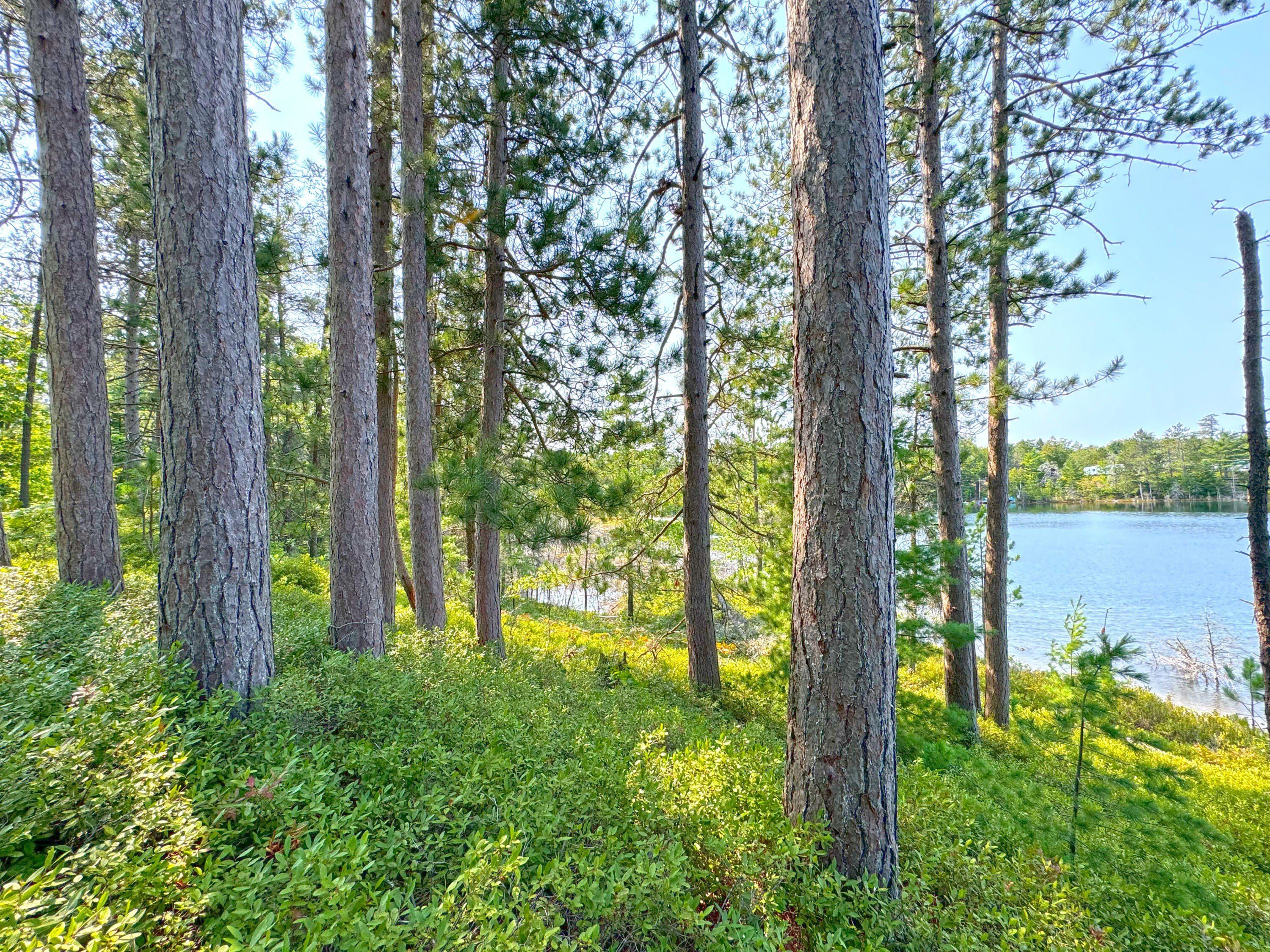 24120 W Rath ROW, Eckerman, MI 49728 | MLS: 24-856 | Land and Farm