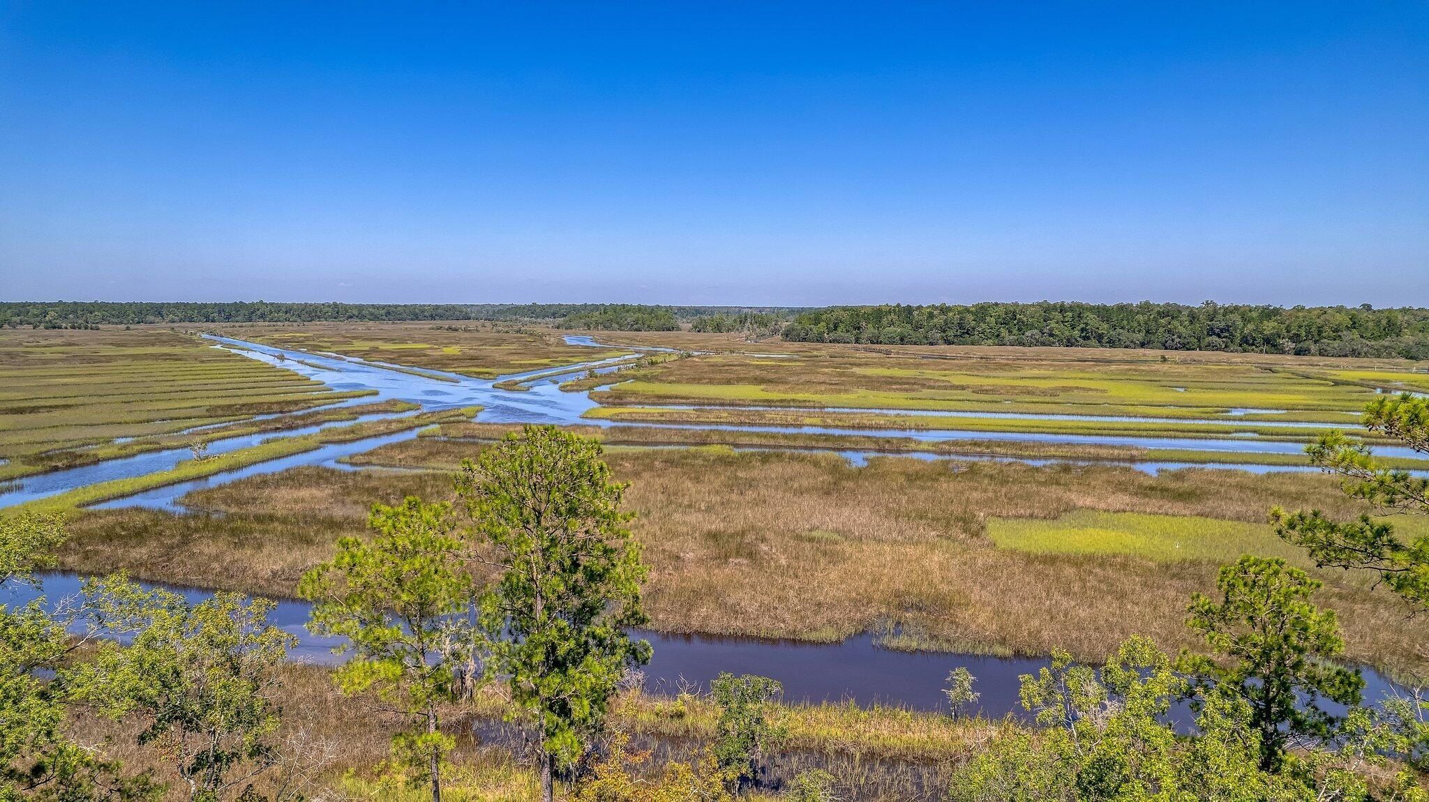 106 Peninsula Drive, Ravenel, SC 29470 | MLS: 24022894 | Land and Farm