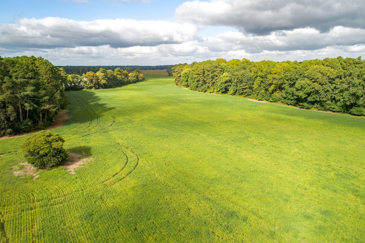 Ward Road, Lot #WP001, Salisbury, MD 21804 | Land and Farm