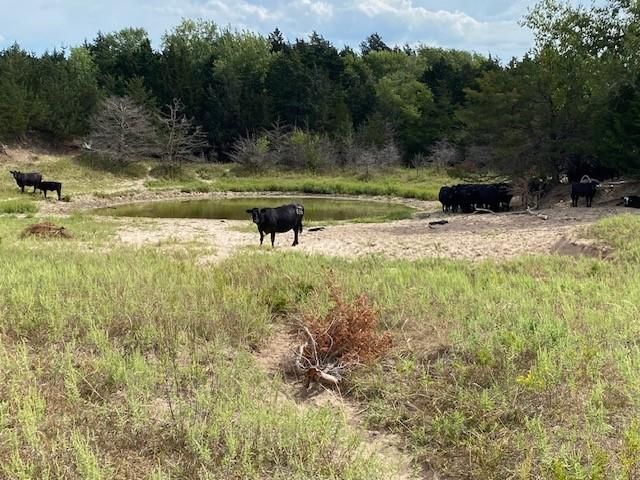 160 acres in Plainview, NE, 68769 | Land and Farm
