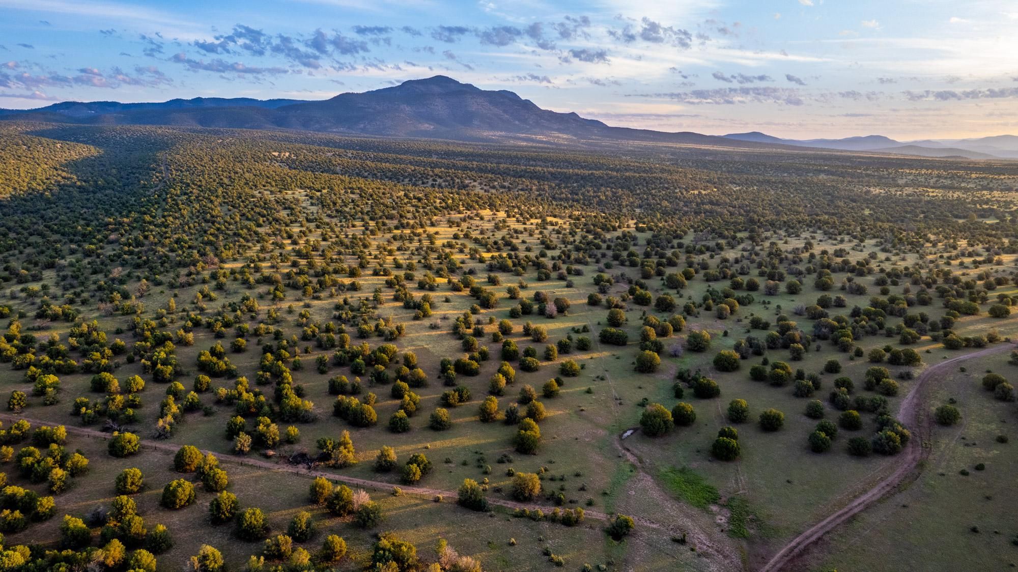 46,216 acres in Alma, NM, 88039 | Land and Farm