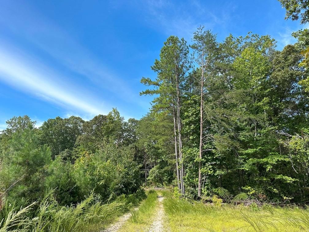 72.33 acres in Hustle, VA, 22476 | MLS: B787 Rose Mount-3 | Land and Farm