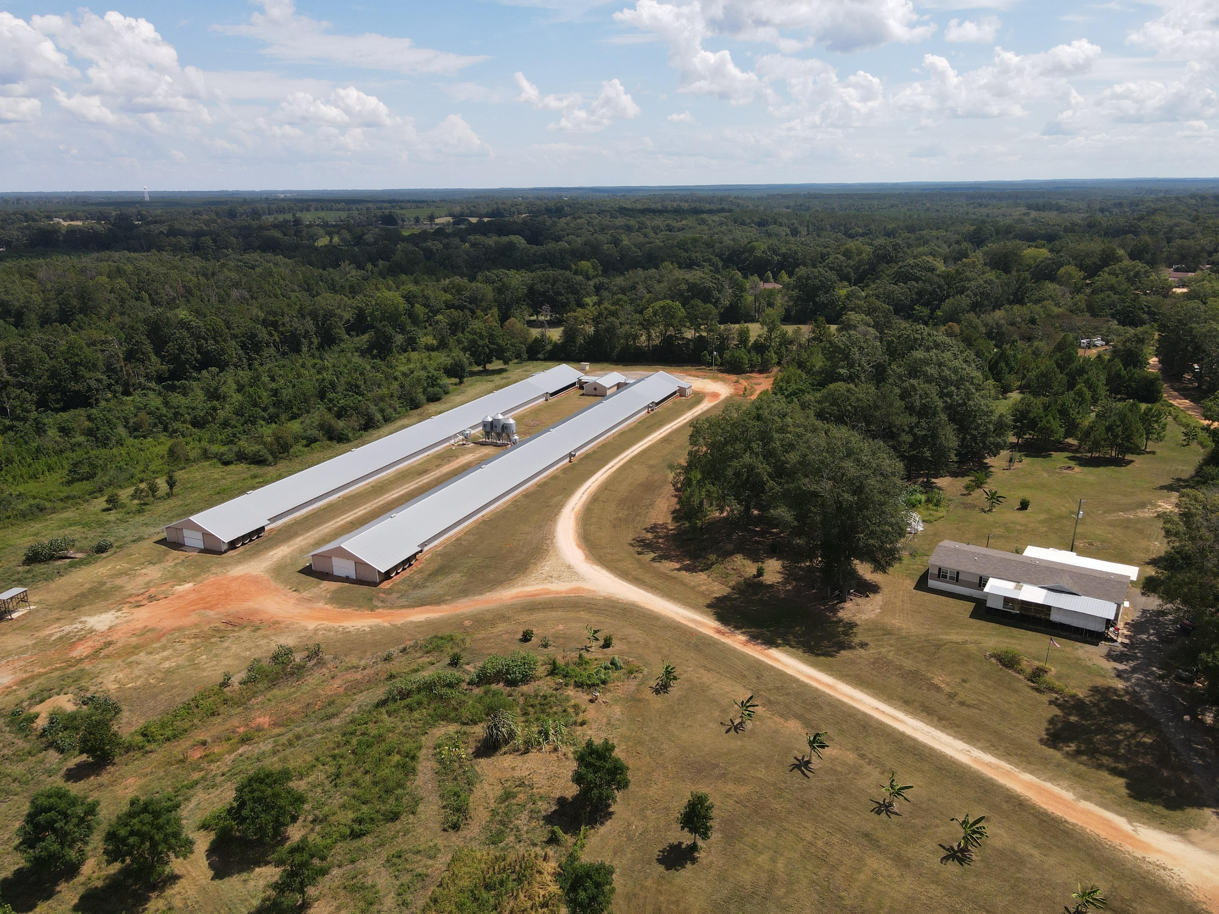 14 acres in Evergreen, AL, 36401 | Land and Farm