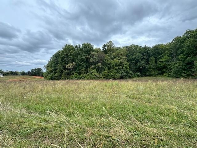 Spring Grove Rd, Spout Spring, VA 24593 | MLS: 55304 | Land and Farm