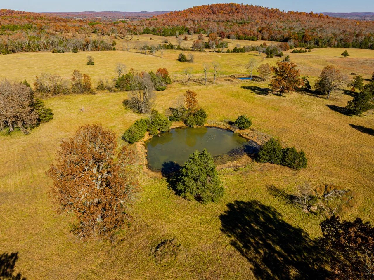 320 acres in Franklin, AR, 72512 | Land and Farm