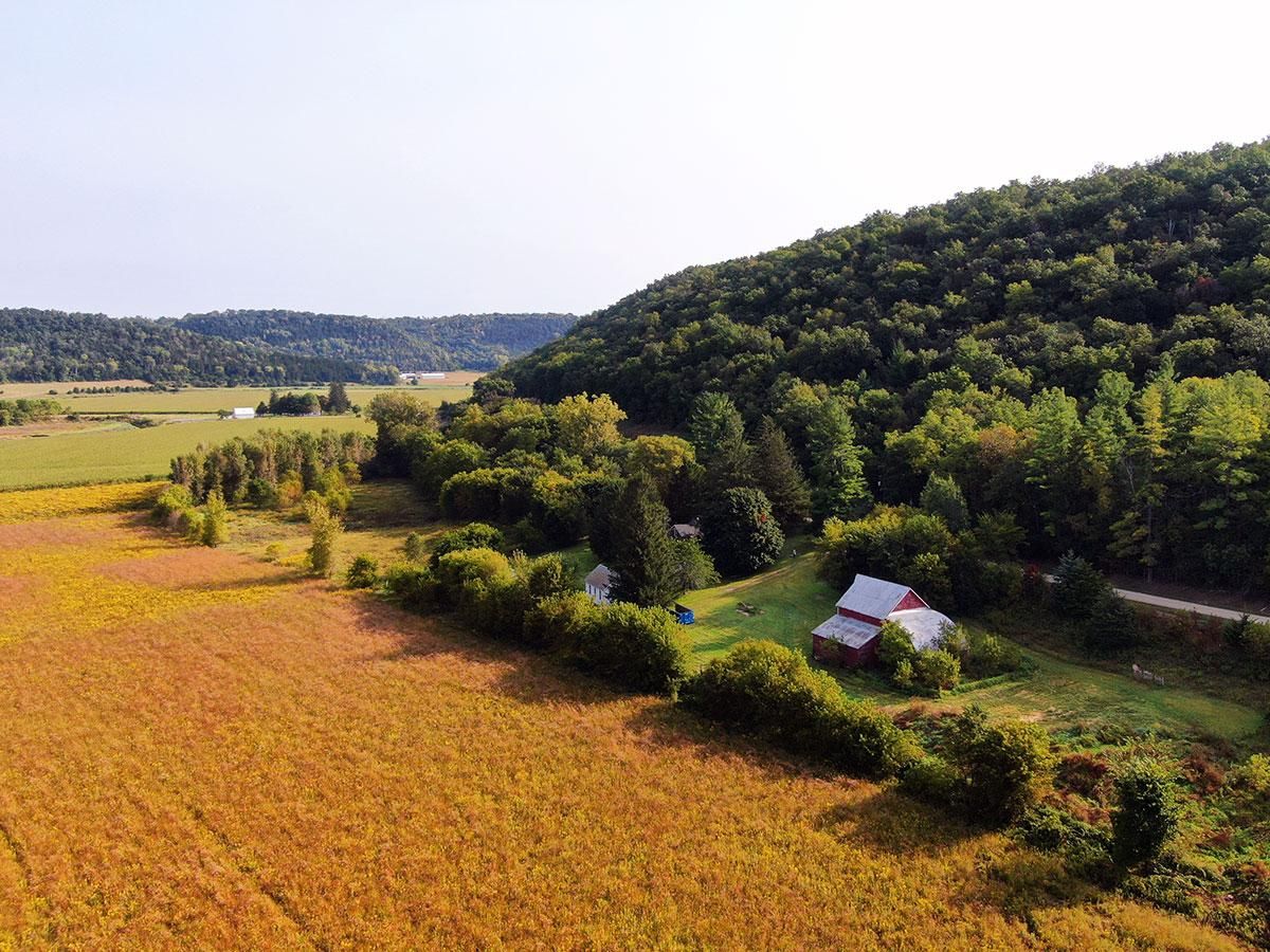 45789 County 13, Mabel, MN 55954 | Land and Farm