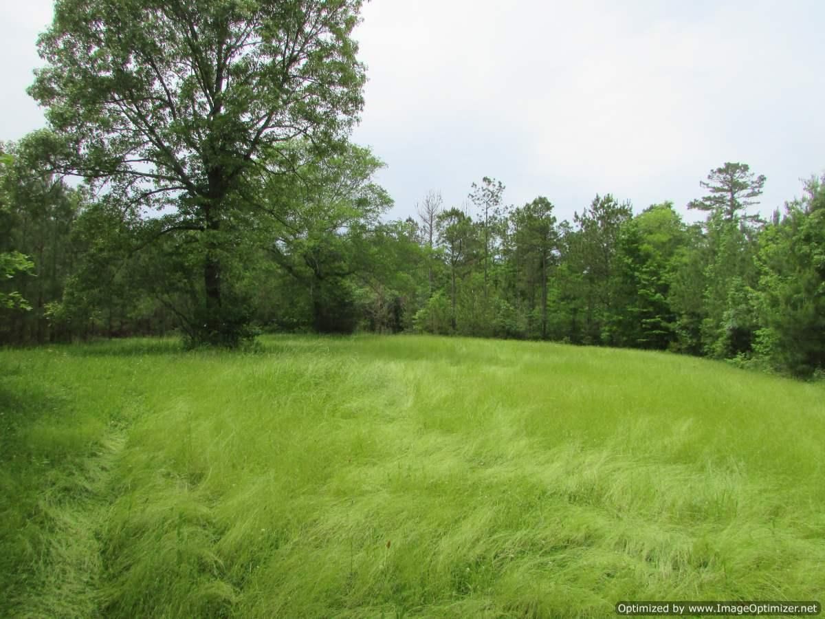 Pat Luckett Road, Farmhaven, MS 39046 | MLS: 4078865 | Land and Farm