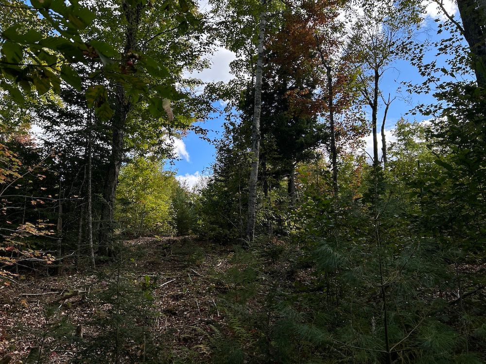 Map4Lot17 Village Road, Jackson, ME 04921 | MLS: 1584855 | Land and Farm